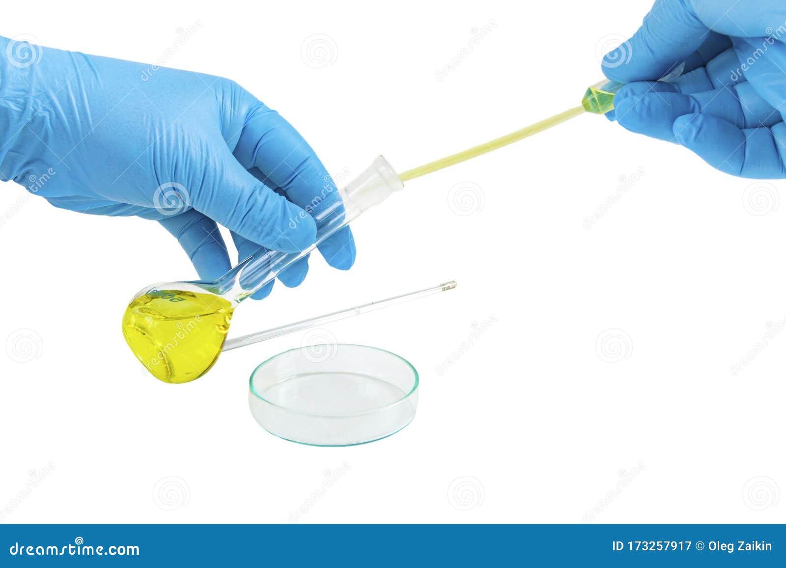 Hands in Gloves Take a Sample from a Test Tube Stock Image - Image of ...
