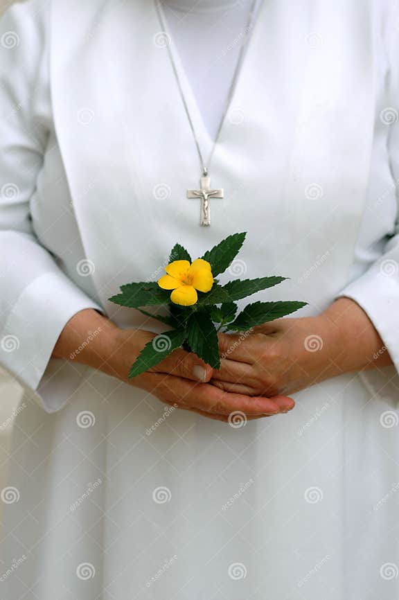 Hands of Grace (8) stock photo. Image of catholic, christianity - 350626