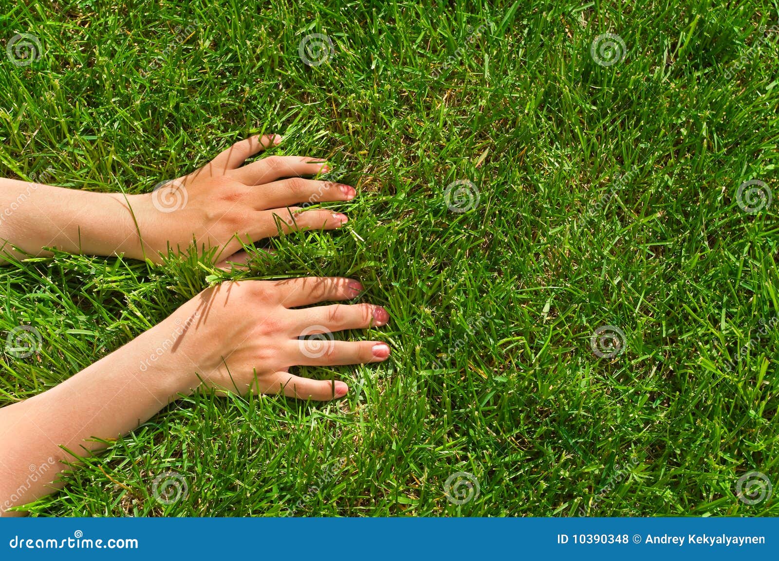 Hands in grass stock photo. Image of leisure, field, happiness - 10390348