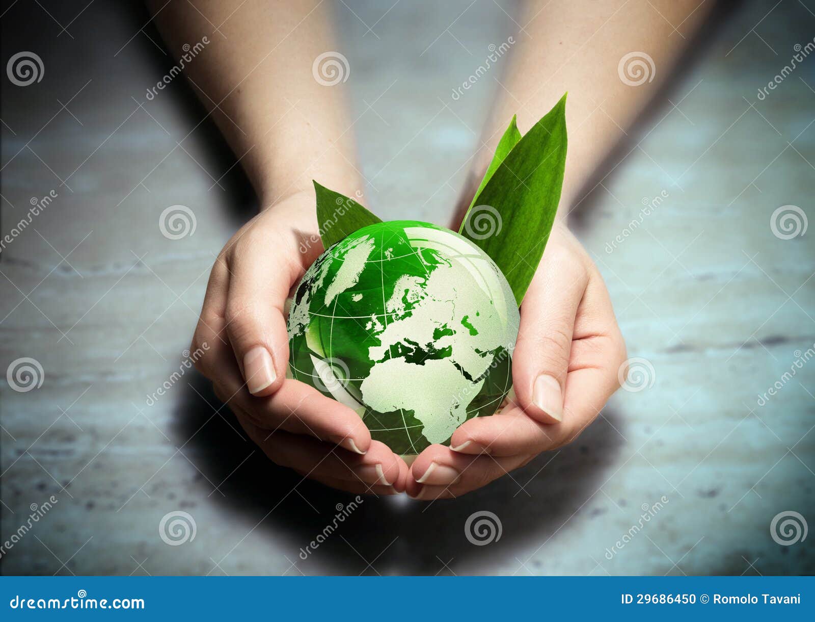 Hands with Green Eco World Globe - Europe Stock Photo - Image of ...