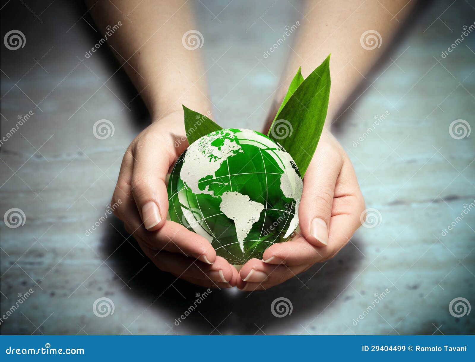Hands with Green Eco World Globe - Usa Stock Image - Image of south ...