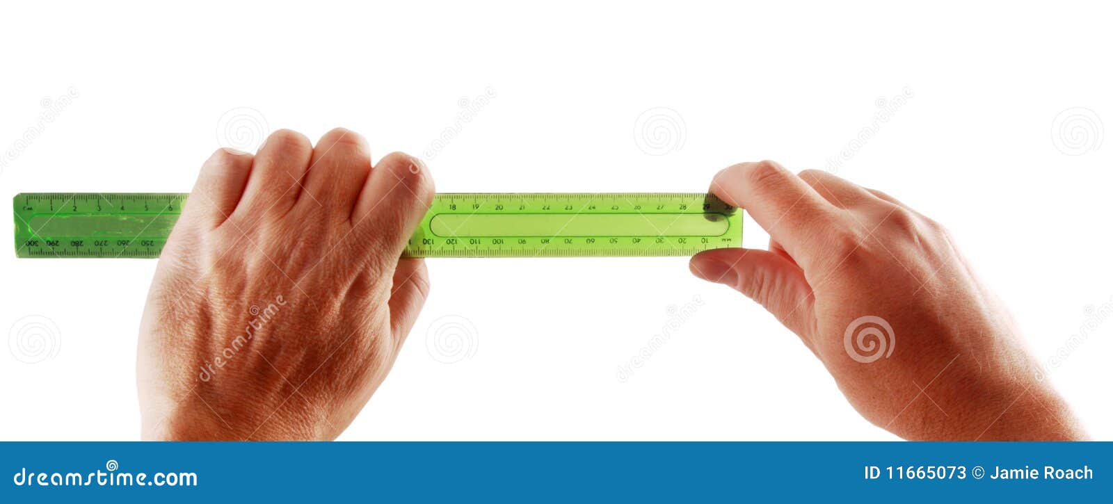 Green Ruler Royalty-Free Stock Image | CartoonDealer.com #72550186