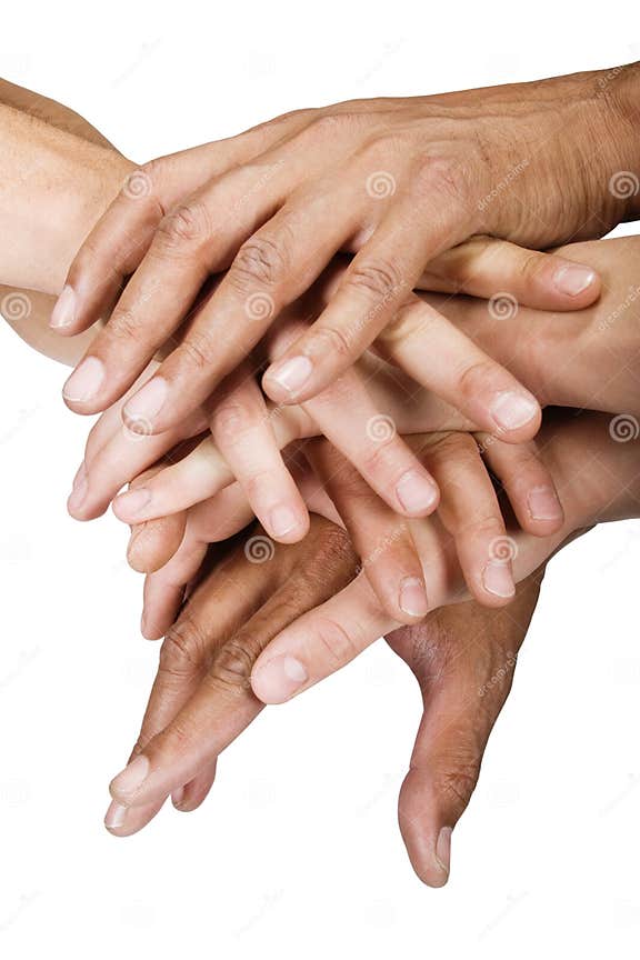 Hands group stock image. Image of ethnicity, caucasian - 4999495