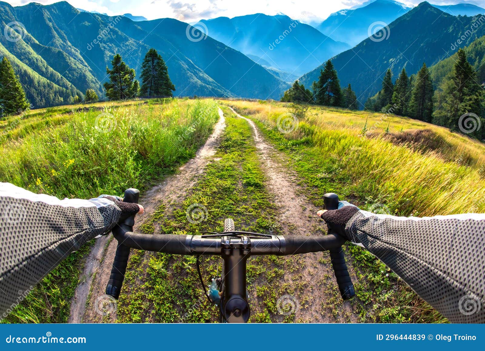 Hands on the Handlebars of a Bicycle of a Cyclist Riding Along a Trail ...