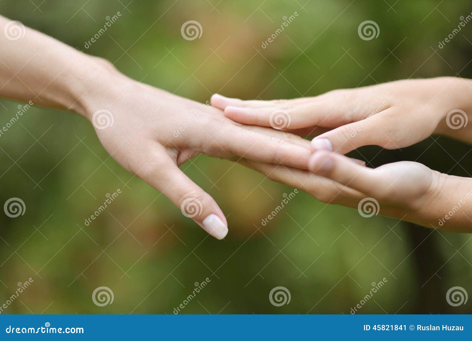 Hands held together stock image. Image of health, love - 45821841