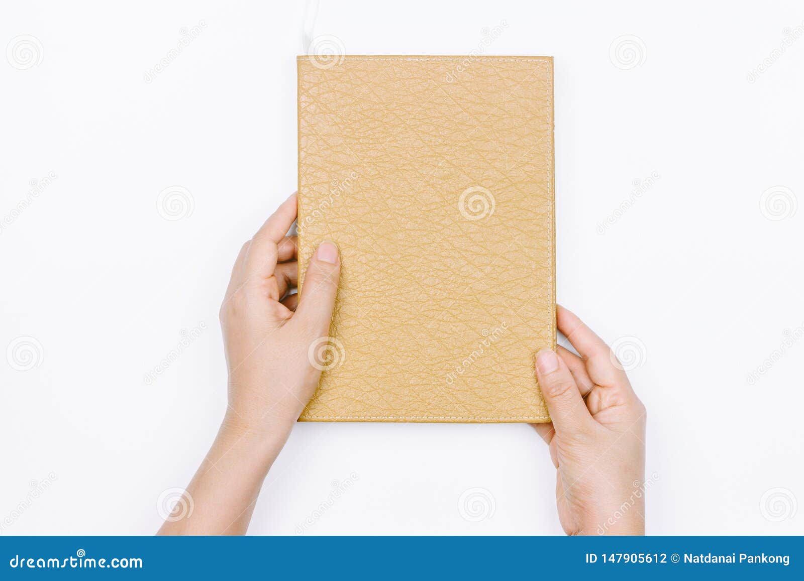 Hands Hold the Book on White Background Stock Photo - Image of blank ...