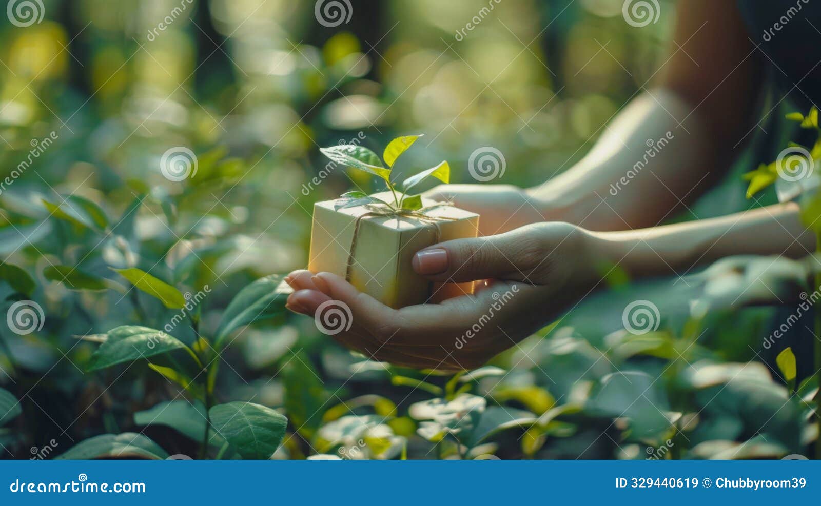 Hands Hold Eco-friendly Product in Green Packaging, Promoting ...