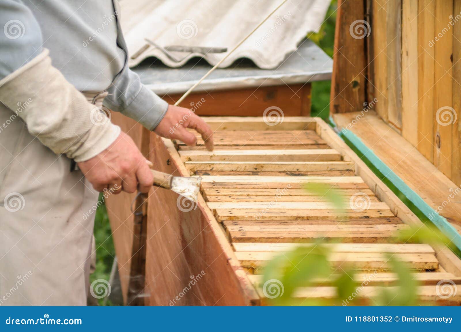 Hands Hold a Hive with Bees Stock Photo - Image of beekeeping, apiarist ...