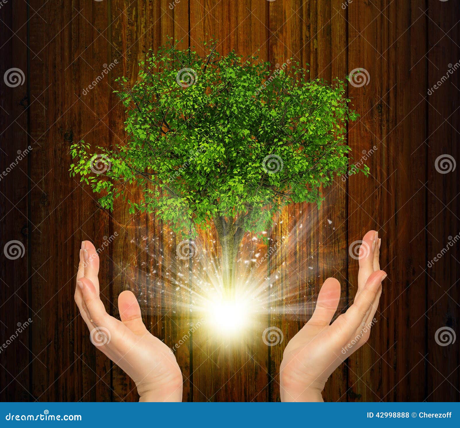 Hands Hold Magical Green Tree and Rays of Light Stock Photo - Image of ...