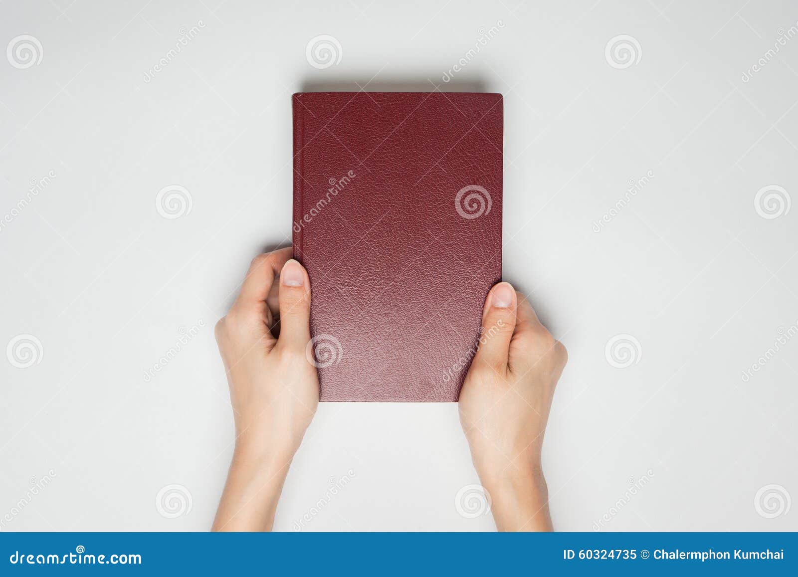 Hands Hold the Red Book Cover Isolated White. Stock Image - Image of ...
