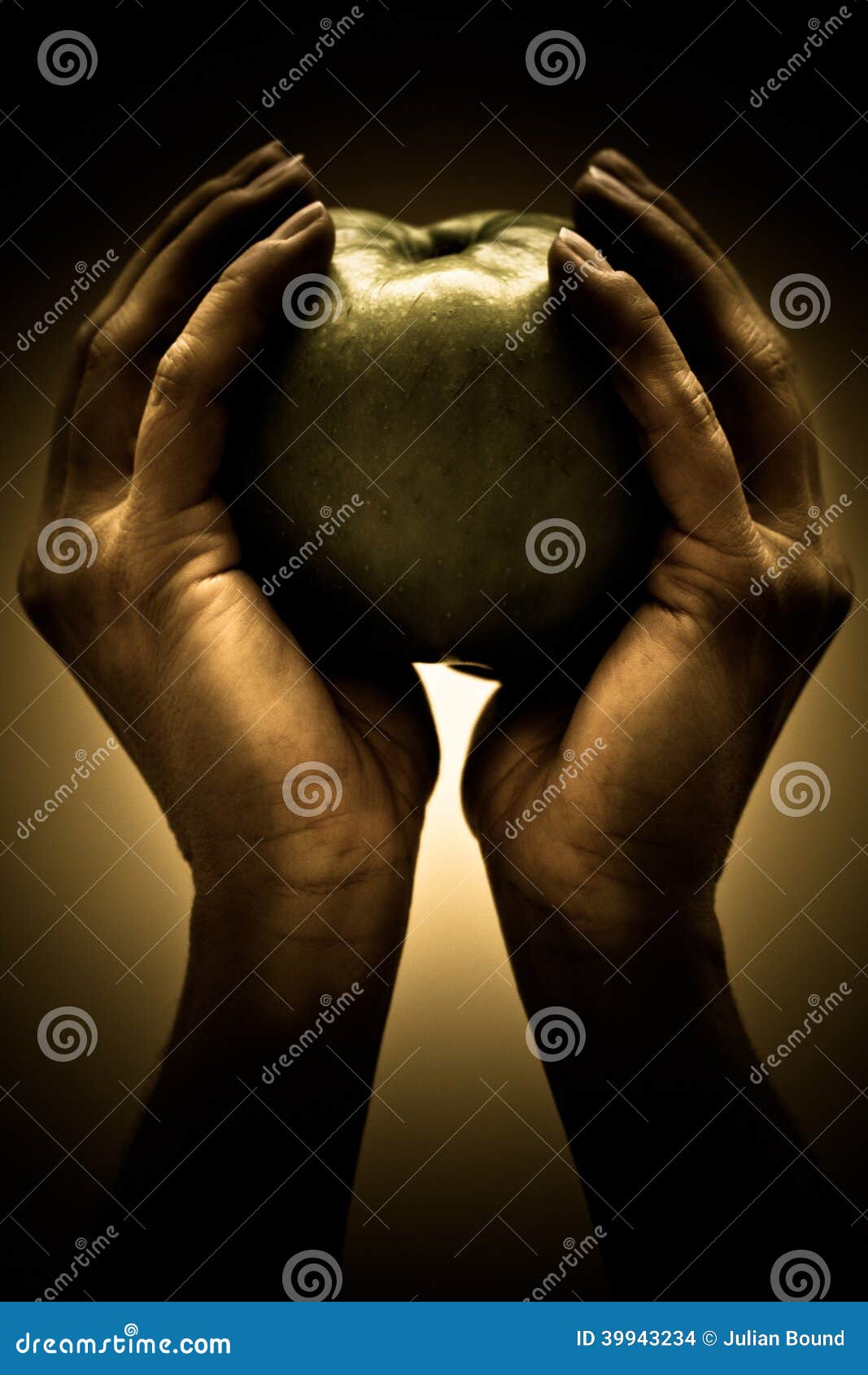 Hands Holding an Apple stock photo. Image of apple, horizontal - 39943234