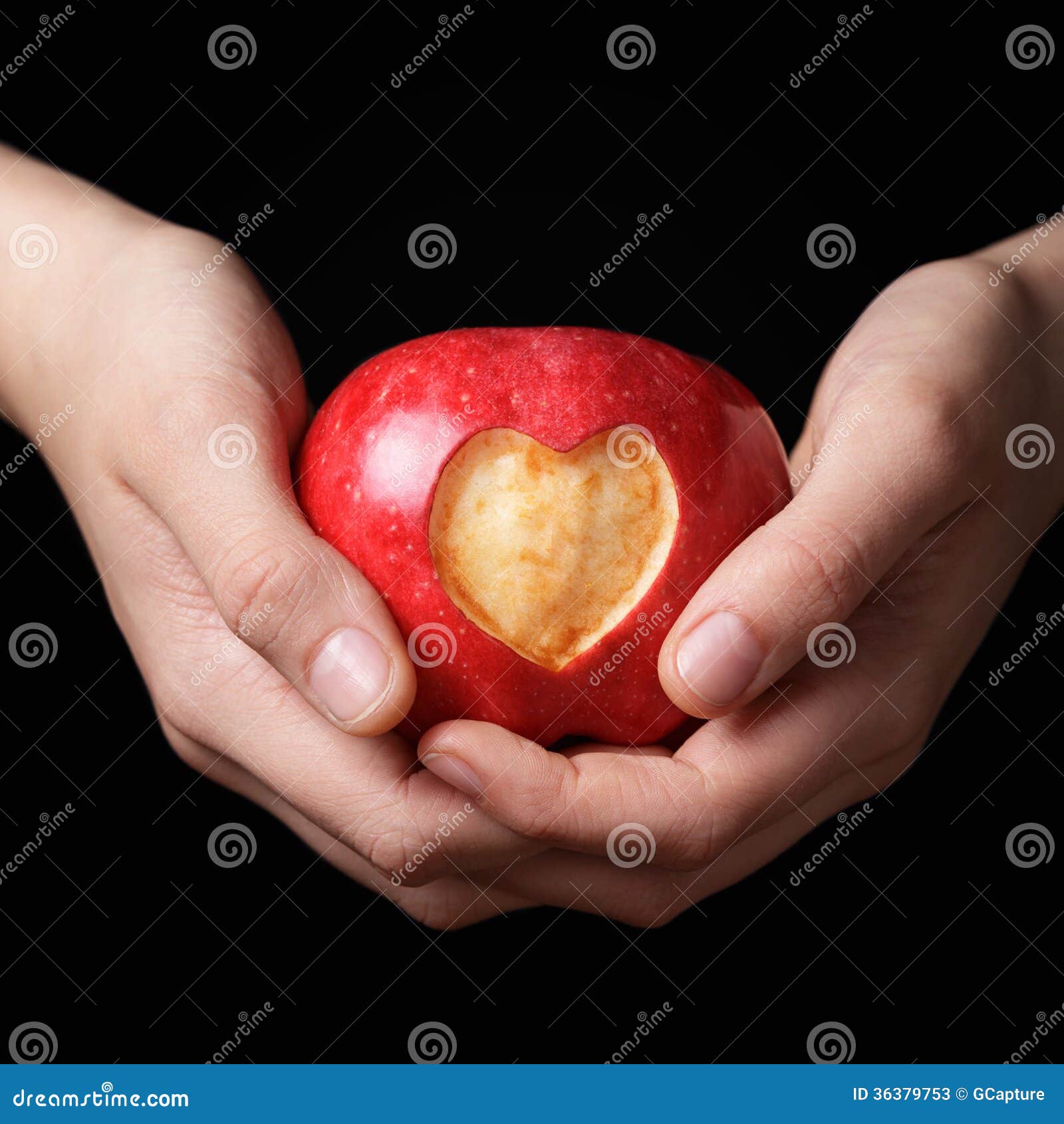 Hands holding apple stock image. Image of concept, trust - 36379753