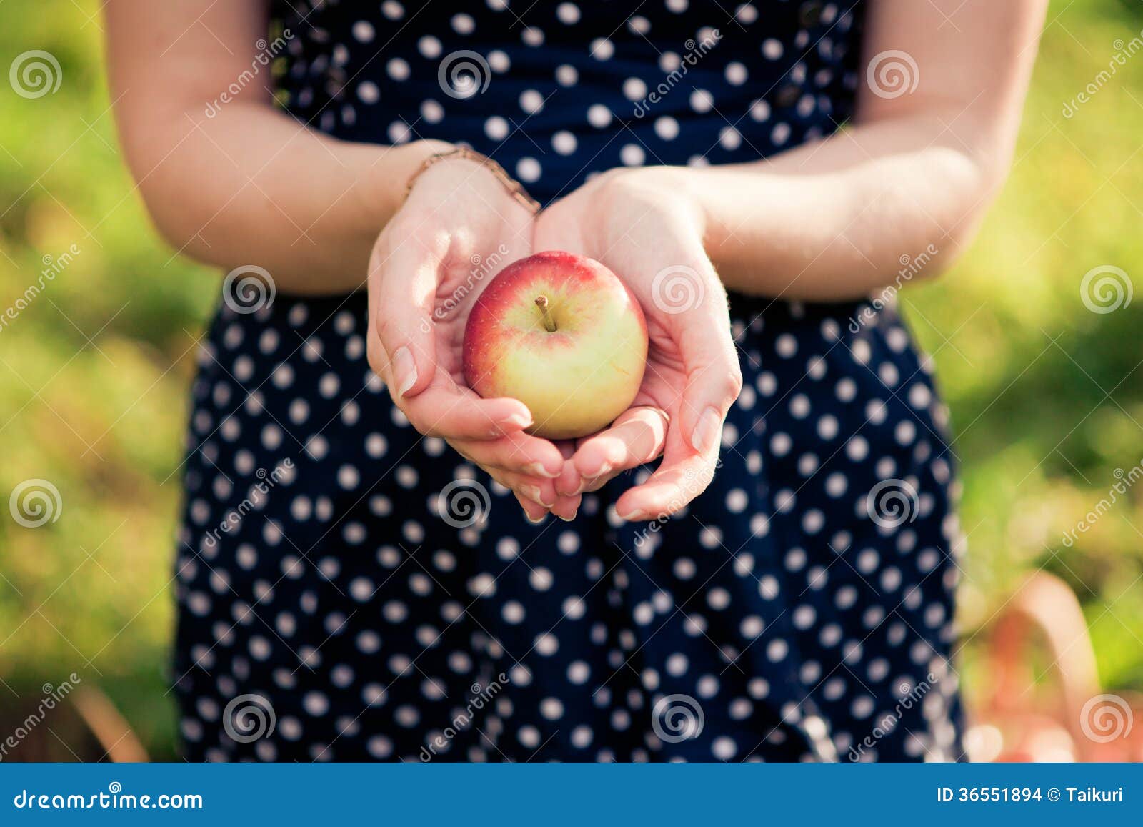 Hands holding apple stock photo. Image of hands, polka - 36551894
