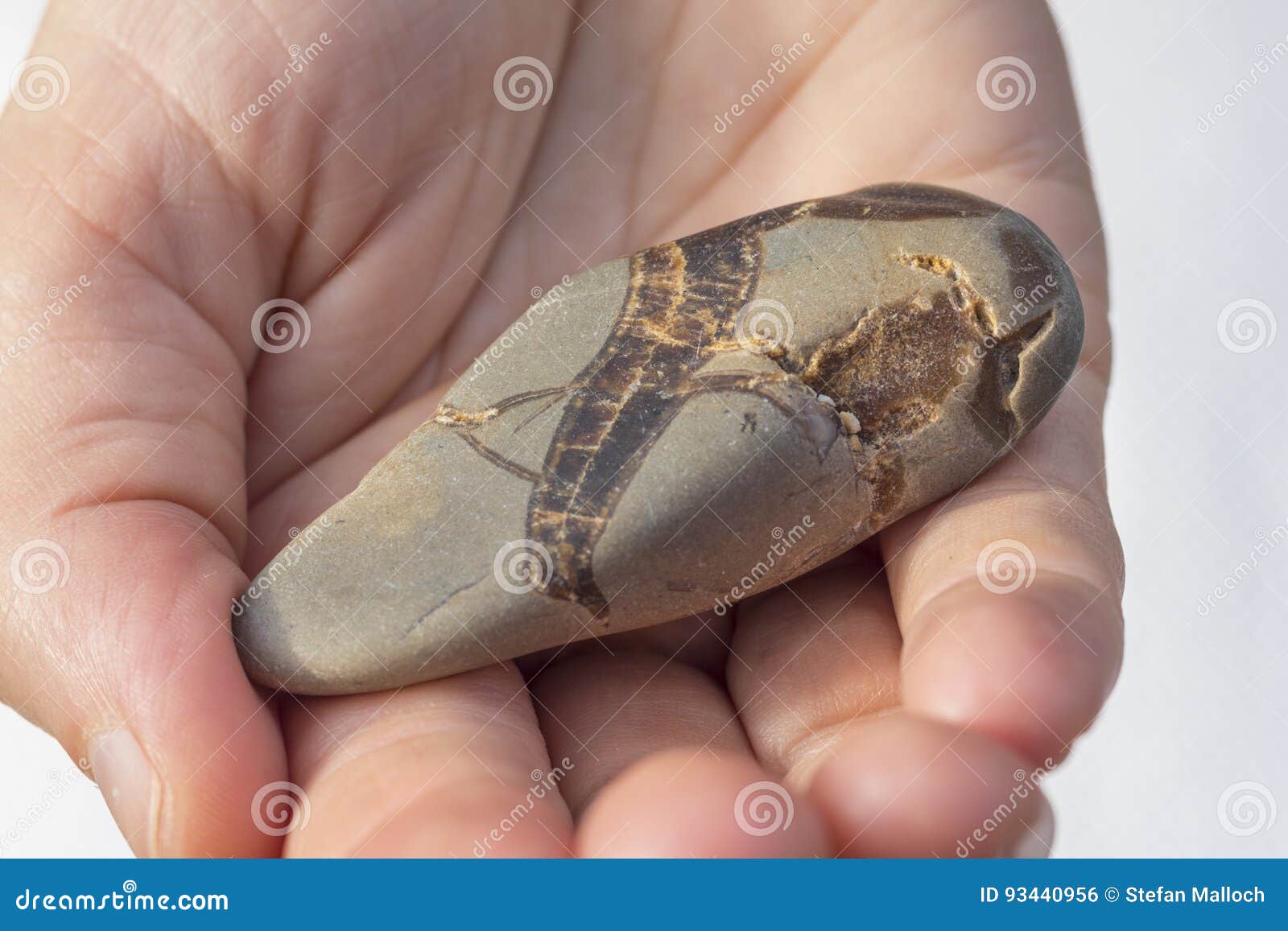 Hands Holding Beautiful Dragon Stone Stock Photo - Image of color ...