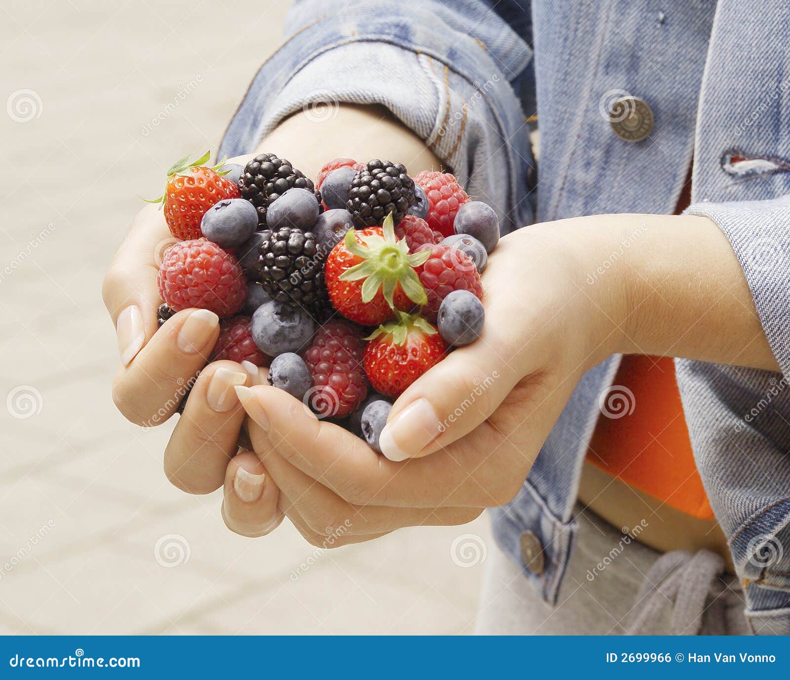 Hands Holding Berries stock photo. Image of female, blackberry - 2699966
