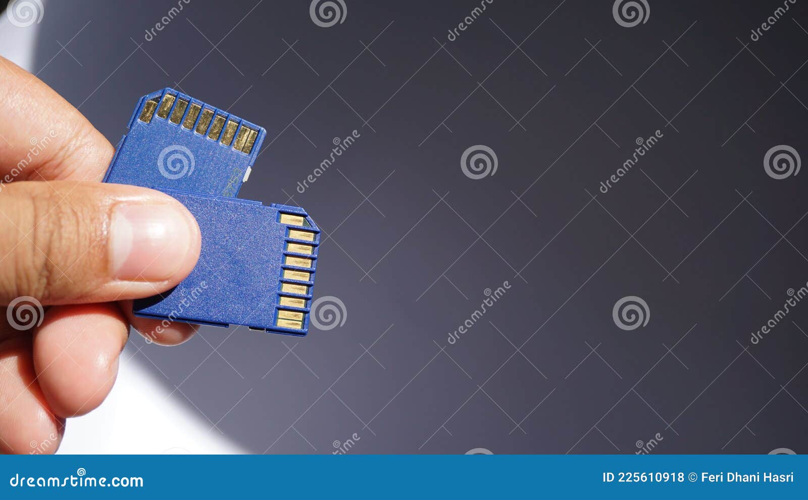 Hands Holding Blue Sd Cards Stock Photo - Image of memory, electronic ...