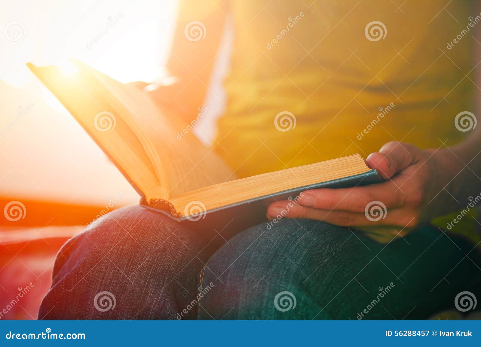 Hands Holding Book and Reading Stock Image - Image of natural, domestic ...
