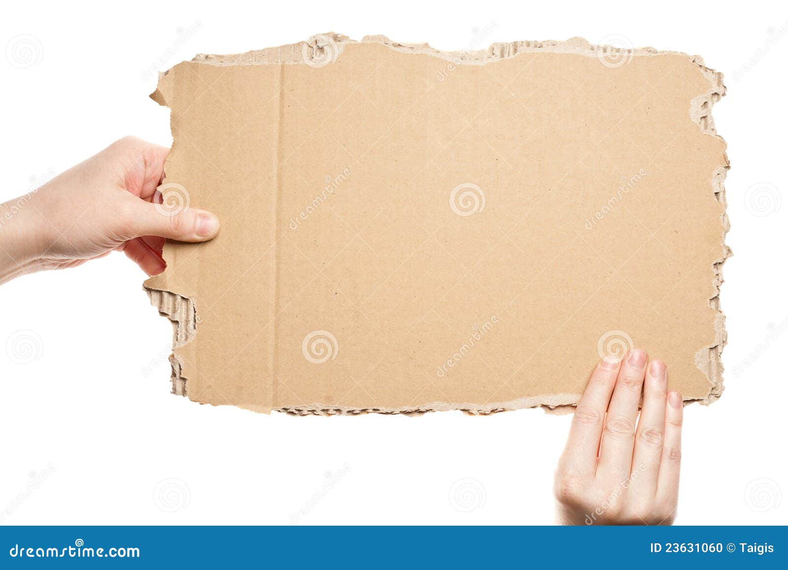 Hands holding cardboard stock photo. Image of hand, cardboard - 23631060