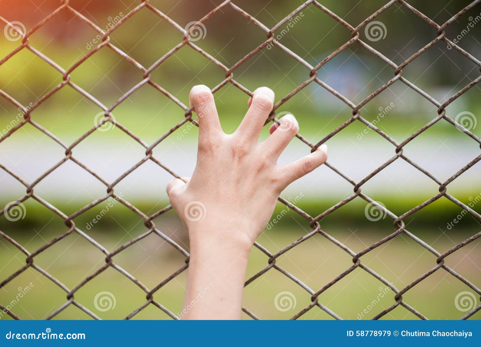 Hands Holding on Chain Link Fence Stock Image - Image of alone, grid ...