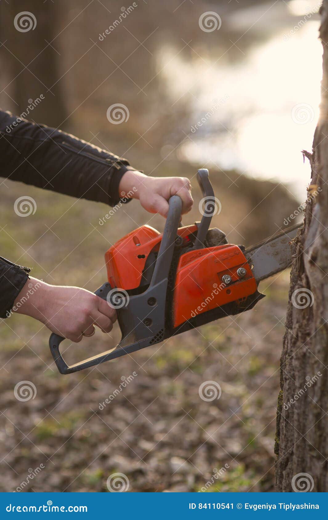 Hands holding a chainsaw stock image. Image of lumberjack - 84110541