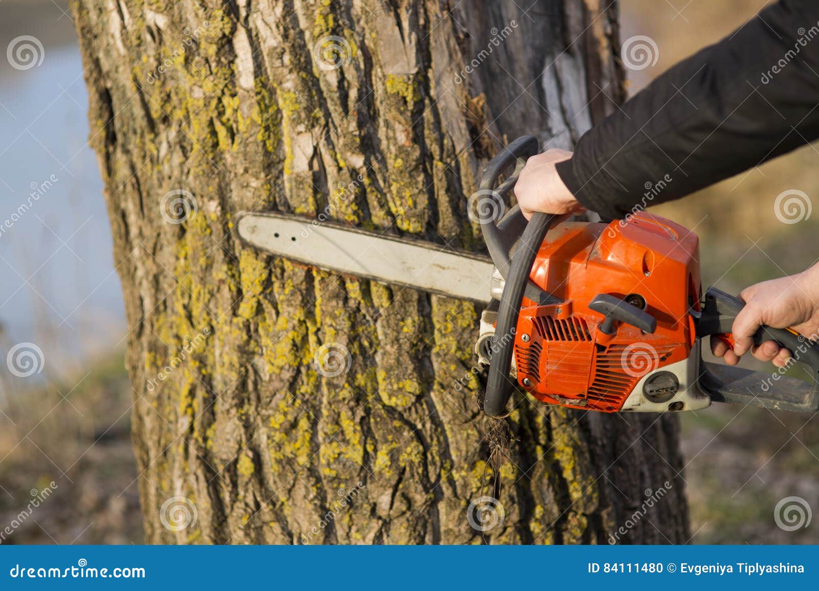 Hands holding a chainsaw stock photo. Image of lumberjack - 84111480