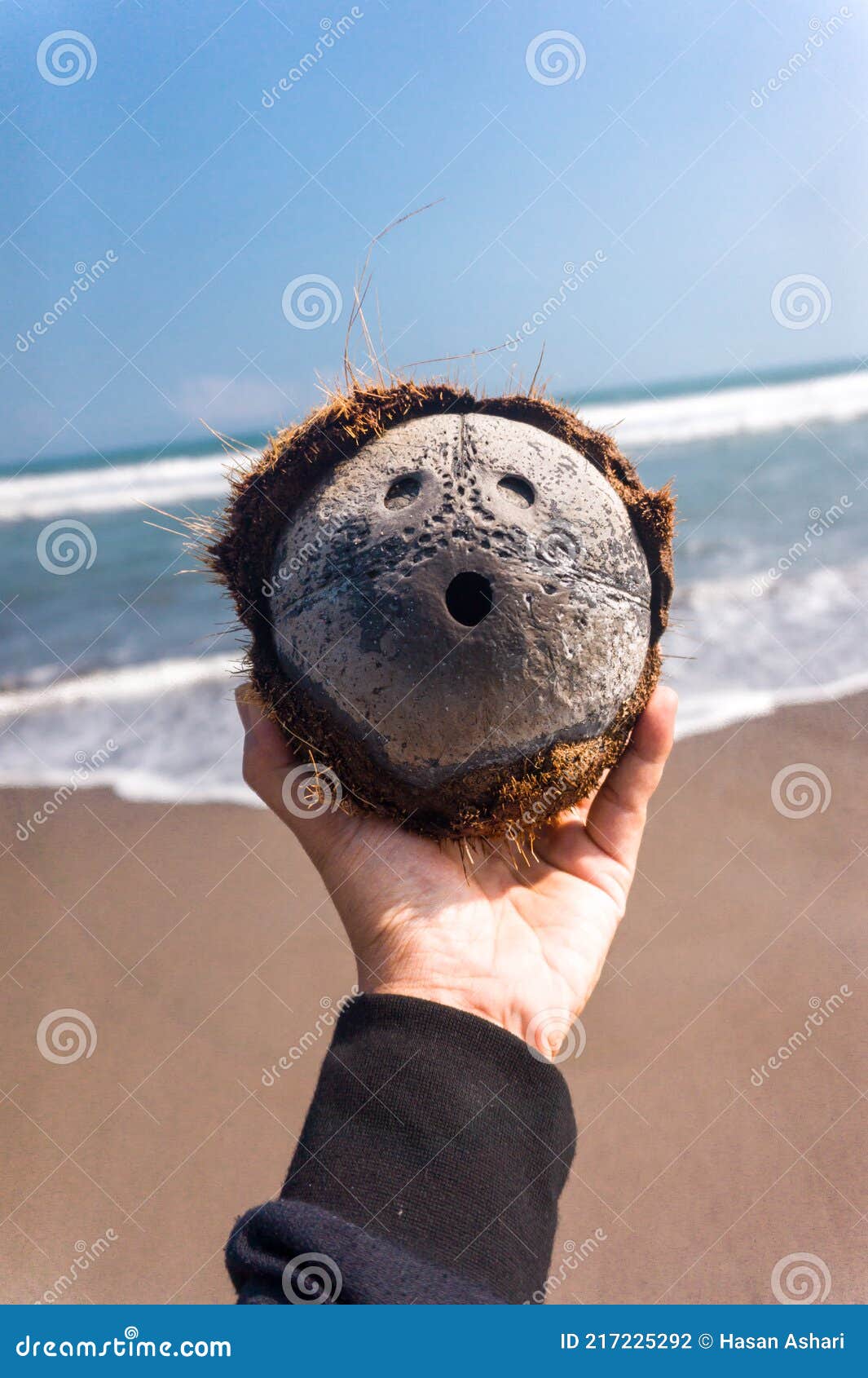 Hands Holding a Coconut that Resembles a Scary Face Stock Photo - Image ...