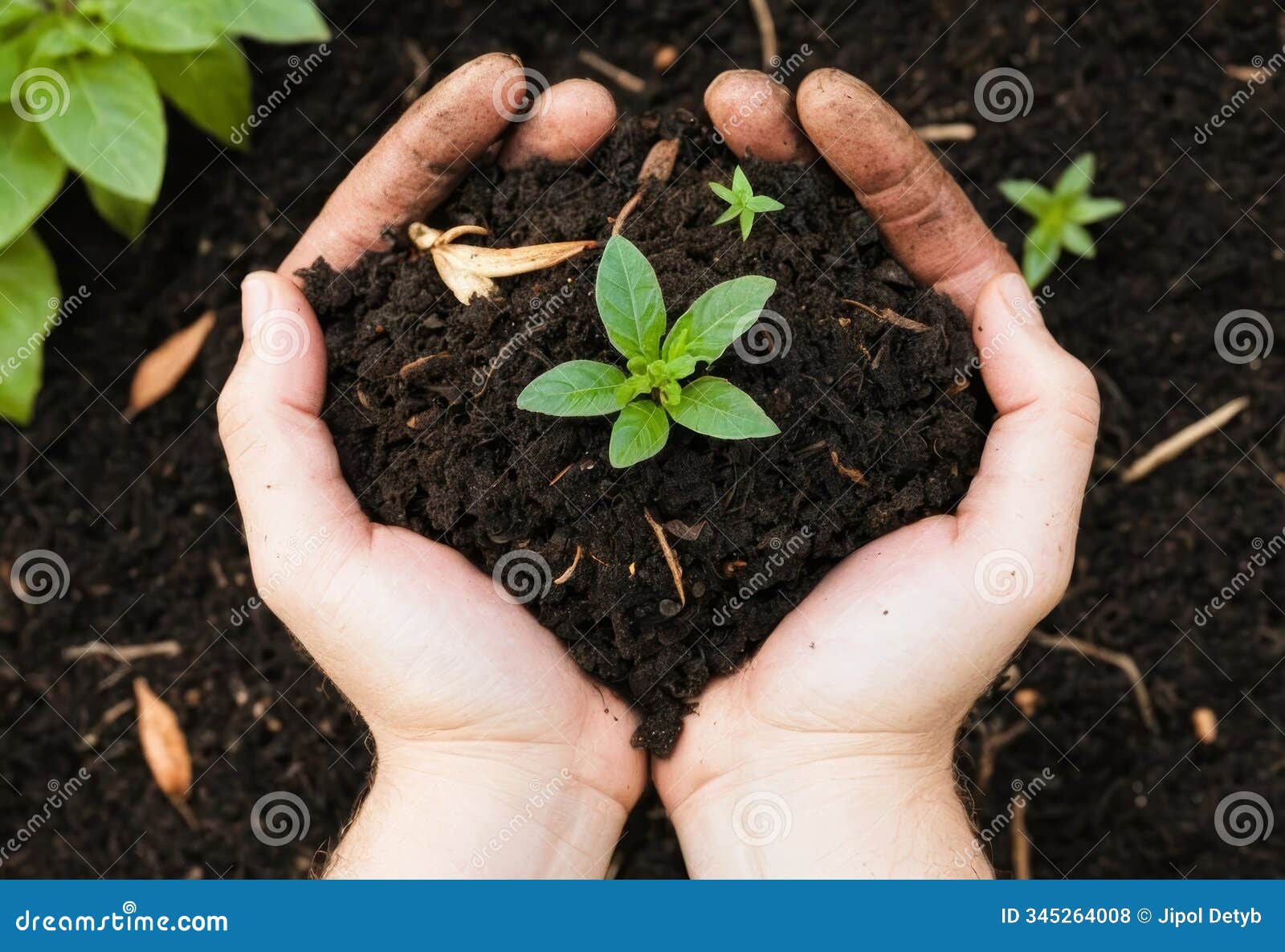 Hands Holding Compost Soil. Stock Photo - Image of potato, nutrient ...
