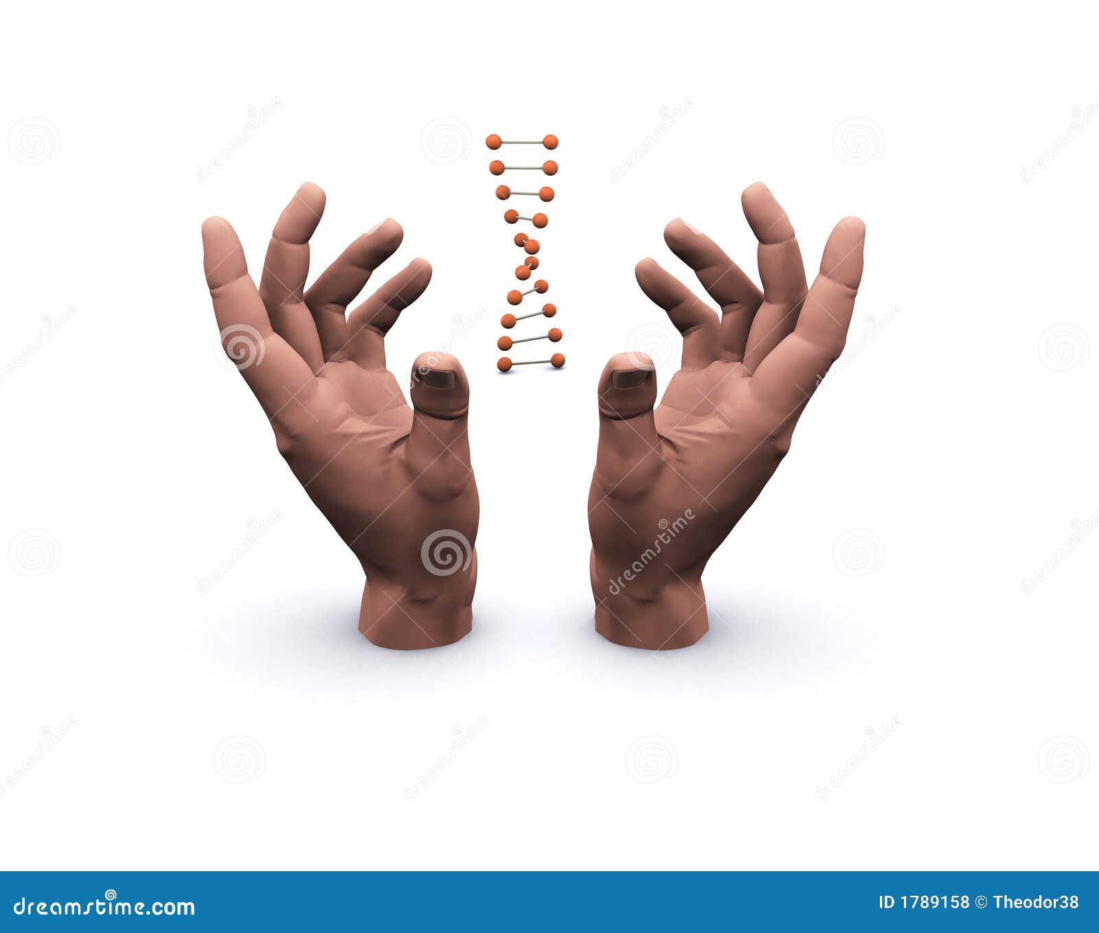 Hands holding dna stock photo. Image of human, vision - 1789158