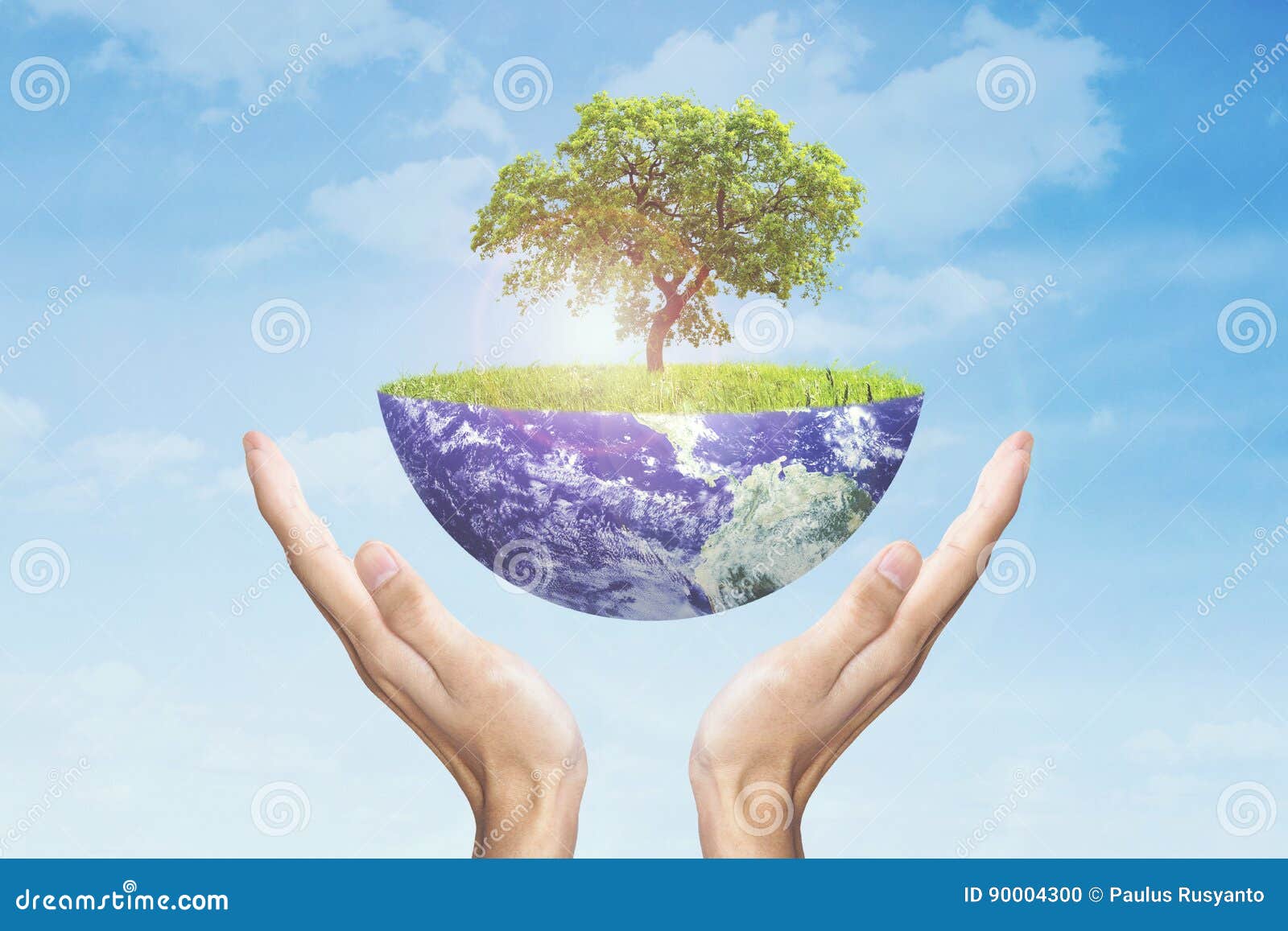 Hands Holding Earth with Tree Stock Photo - Image of environmental ...