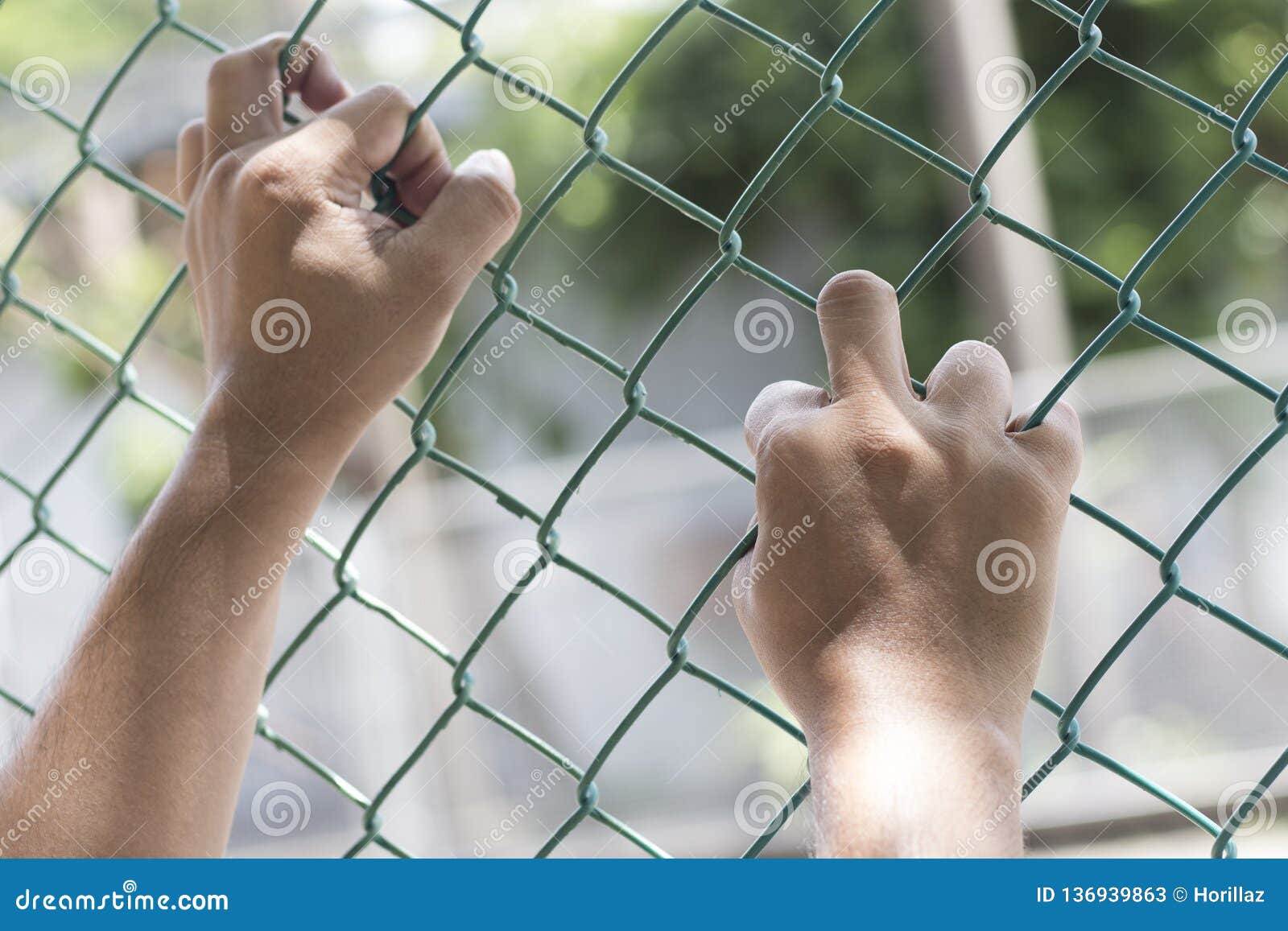 Hands holding fence stock image. Image of despair, alone - 136939863