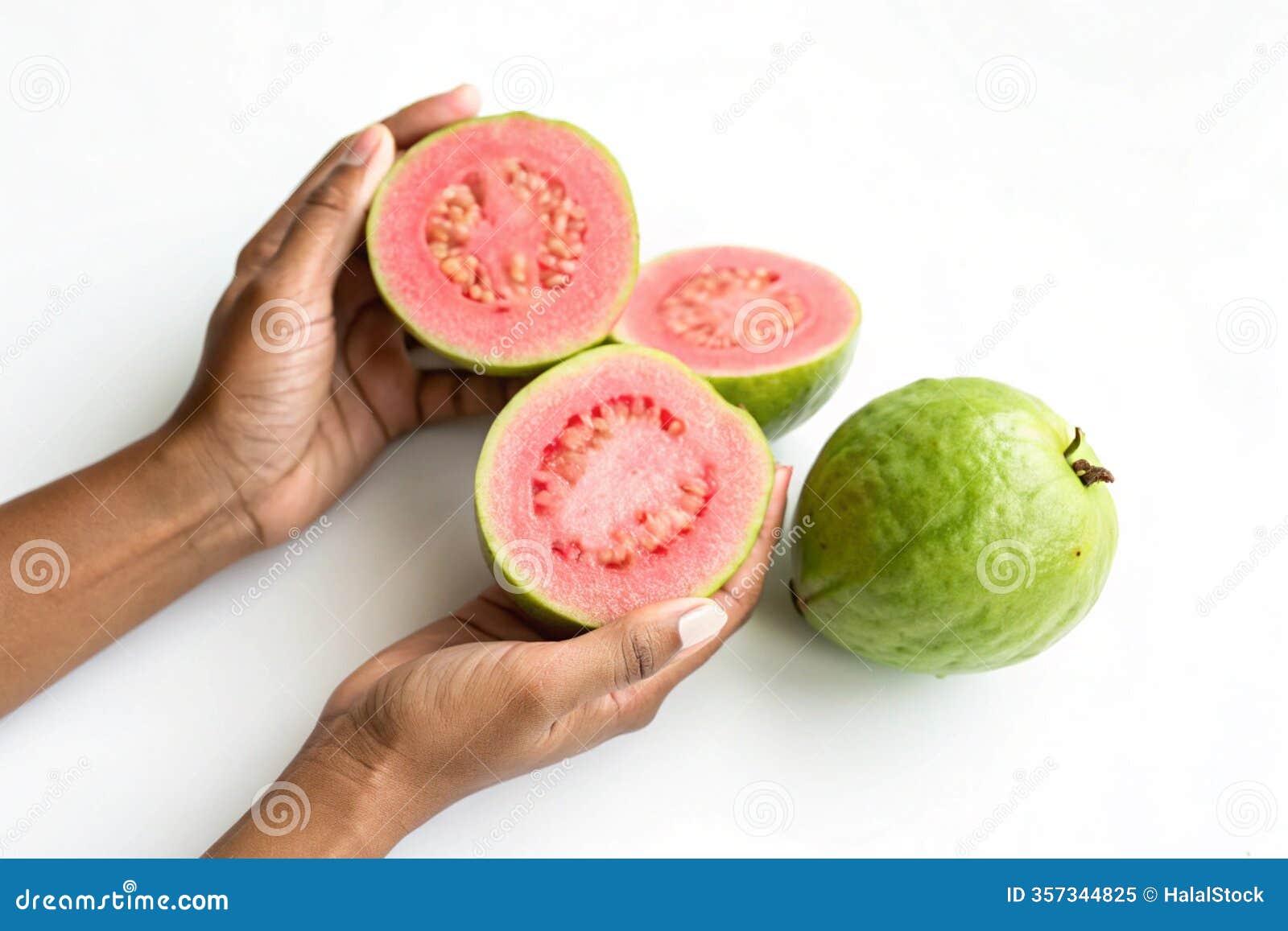 Hands Holding Fresh Guava stock illustration. Illustration of healthy ...