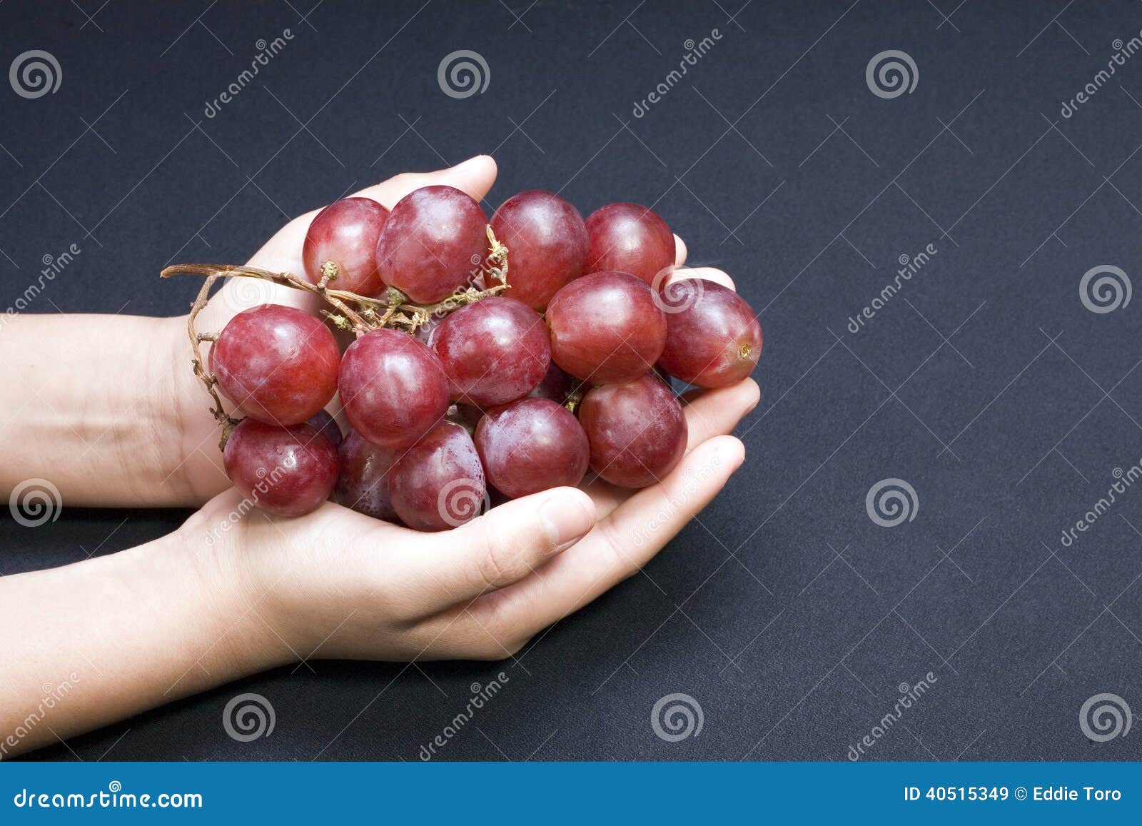 Hands holding grapes stock image. Image of studio, healthy - 40515349