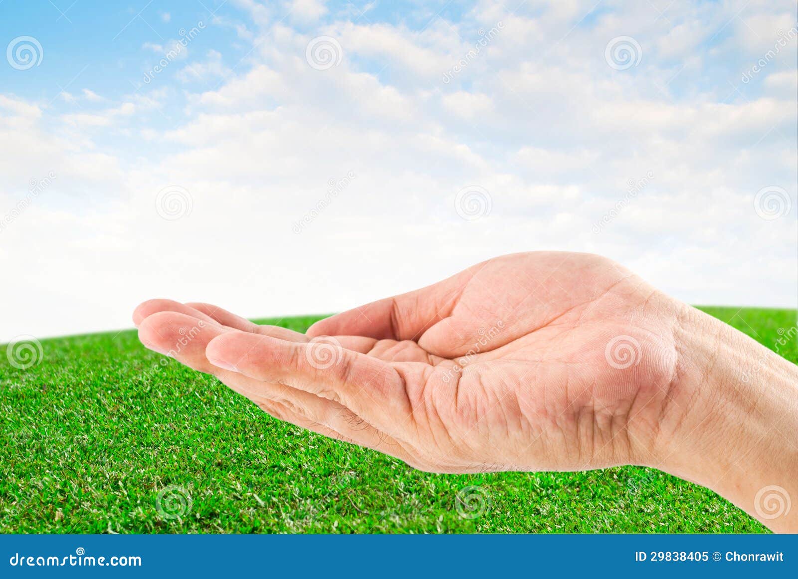 Hands holding stock image. Image of beautiful, hand, person - 29838405