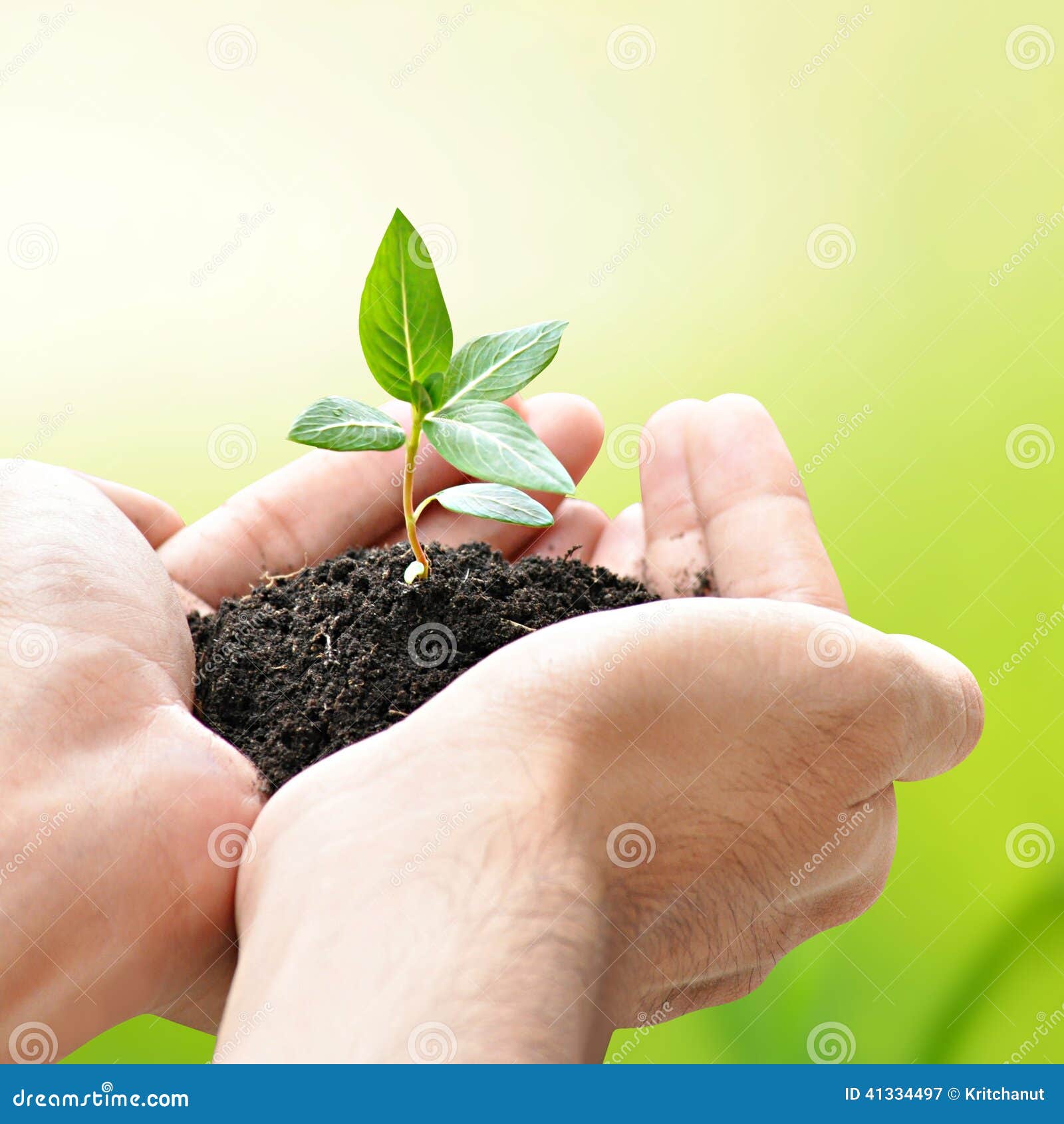 181 Hands Holding Sapling Soil Bio Stock Photos - Free & Royalty-Free ...
