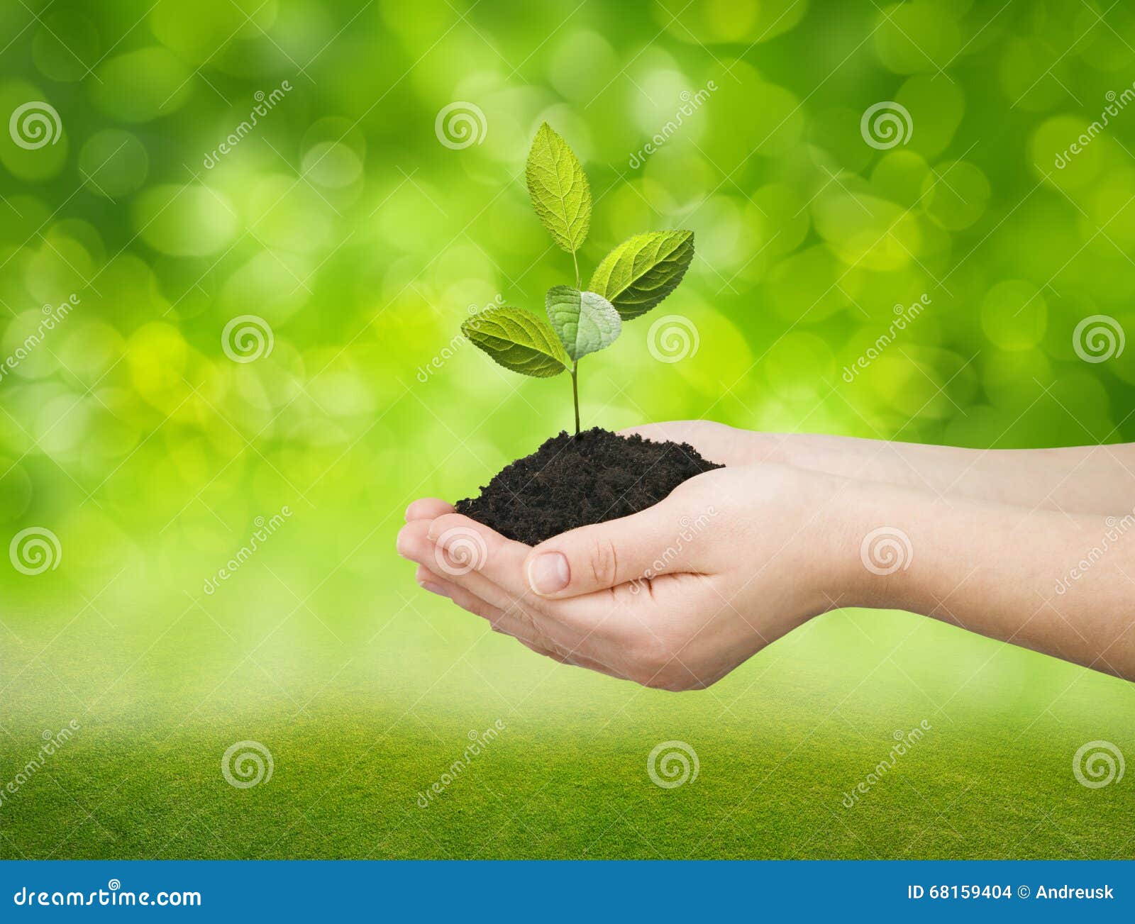 Hands holding green tree stock illustration. Illustration of grow ...