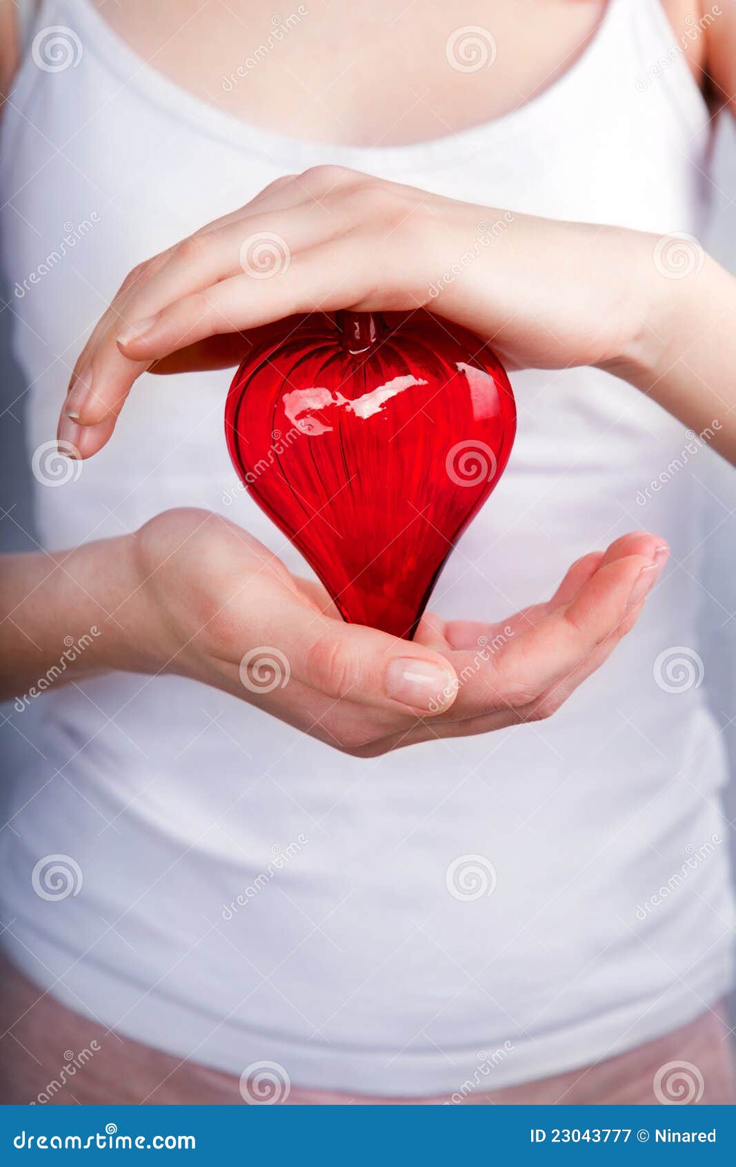 Hands holding heart stock image. Image of close, heart - 23043777