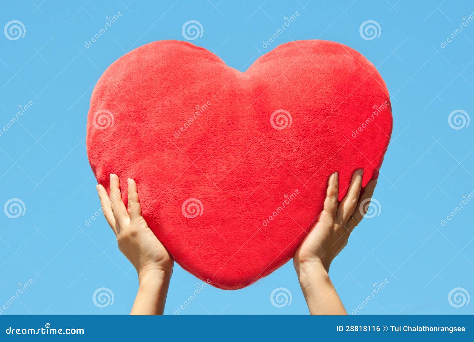 Hands holding heart shape stock photo. Image of emotion - 28818116