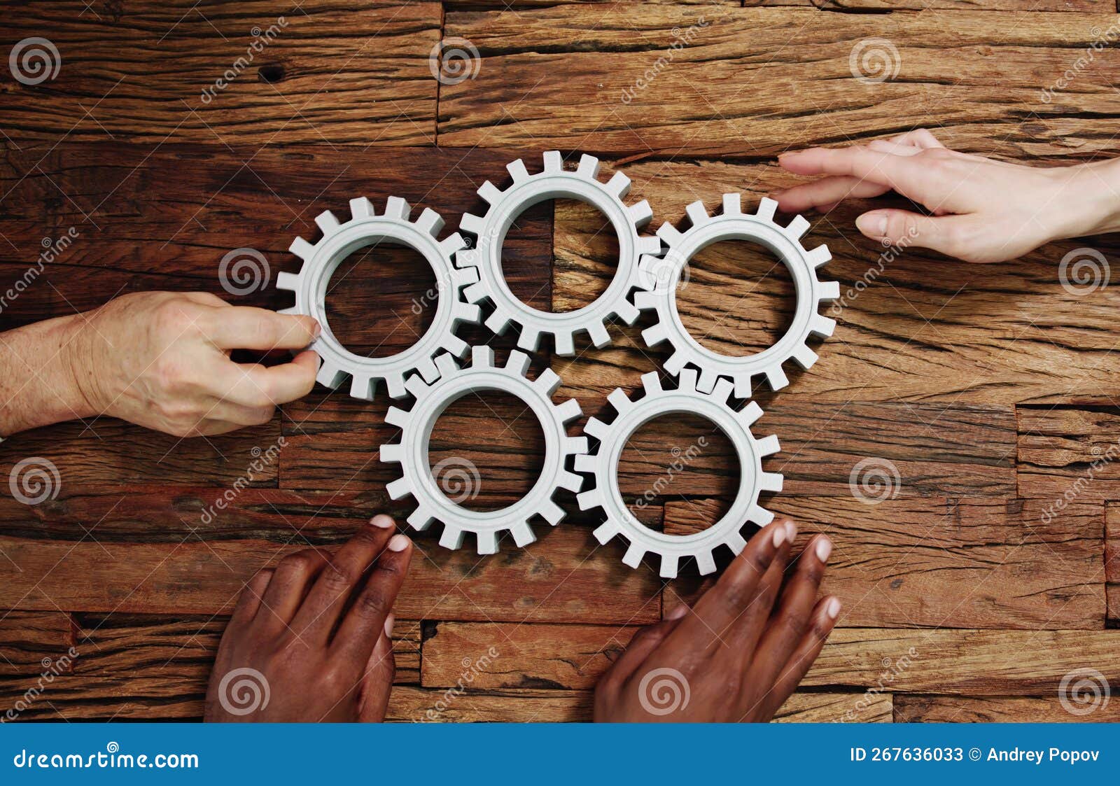 Hands Holding Interlocked Gear Wheels Stock Image - Image of interlock ...