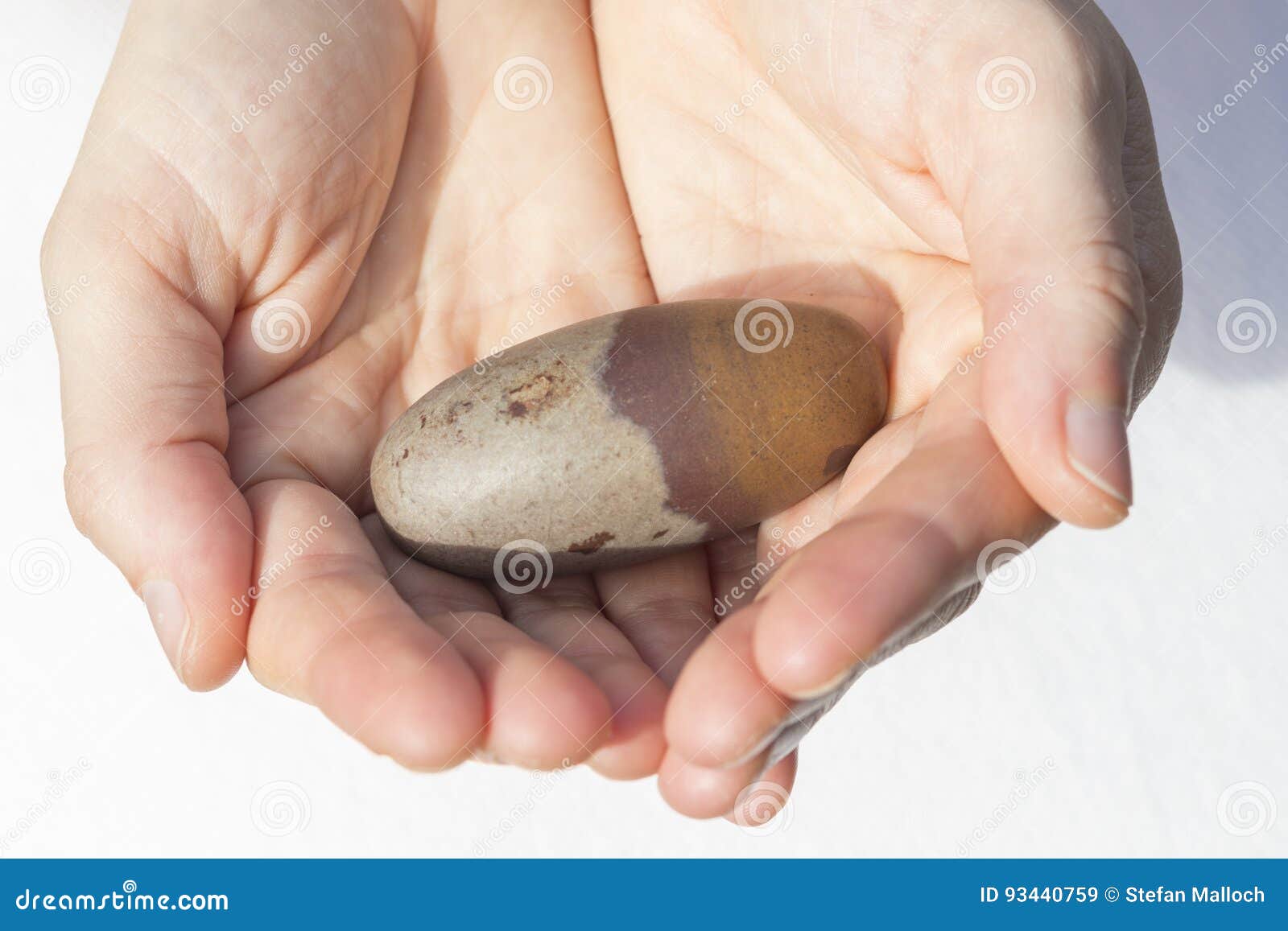 Hands Holding a Large Piece of Shiva Lingam Stock Image - Image of ...