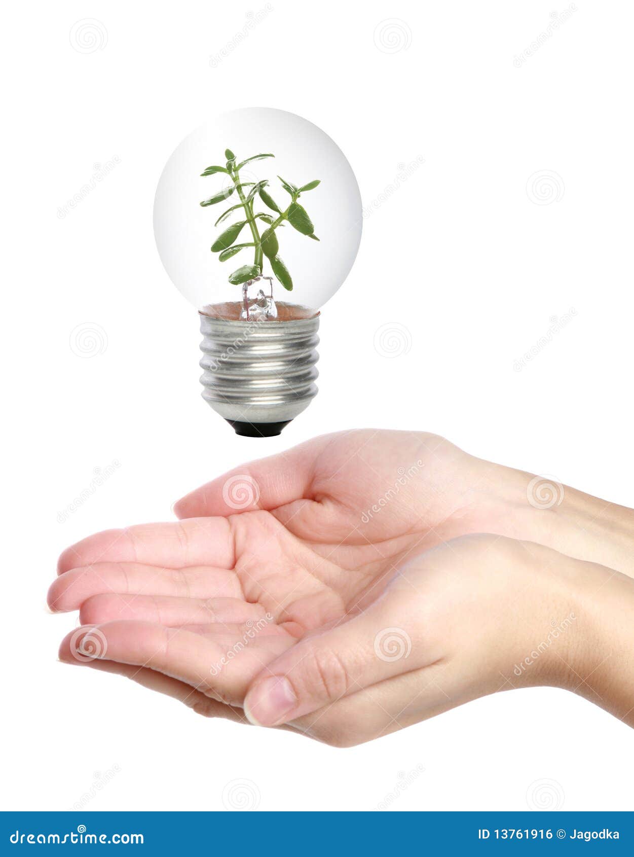 Hands holding light bulb stock photo. Image of global - 13761916