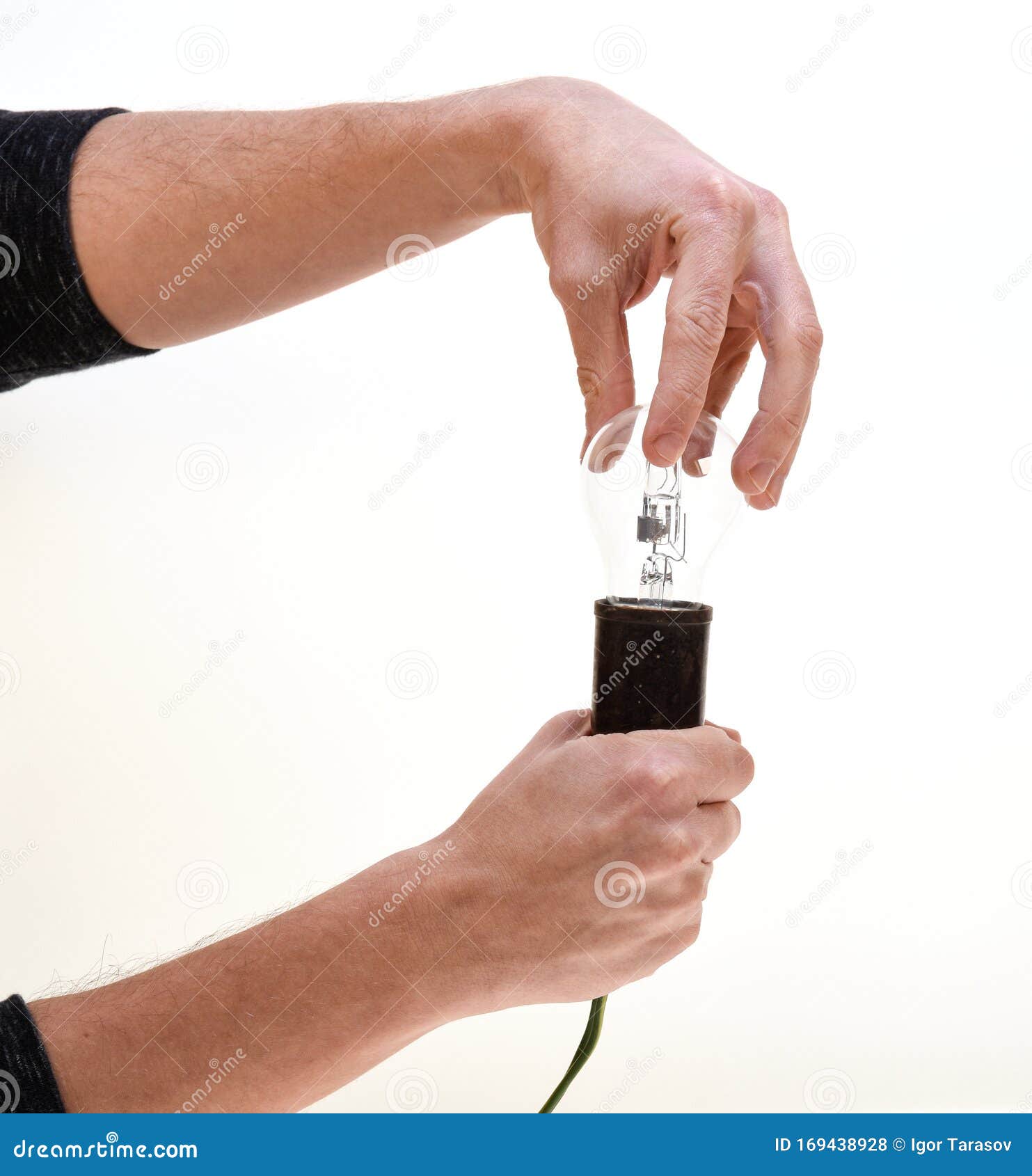 Hands Holding Light Bulb Isolated on White Stock Photo - Image of ...