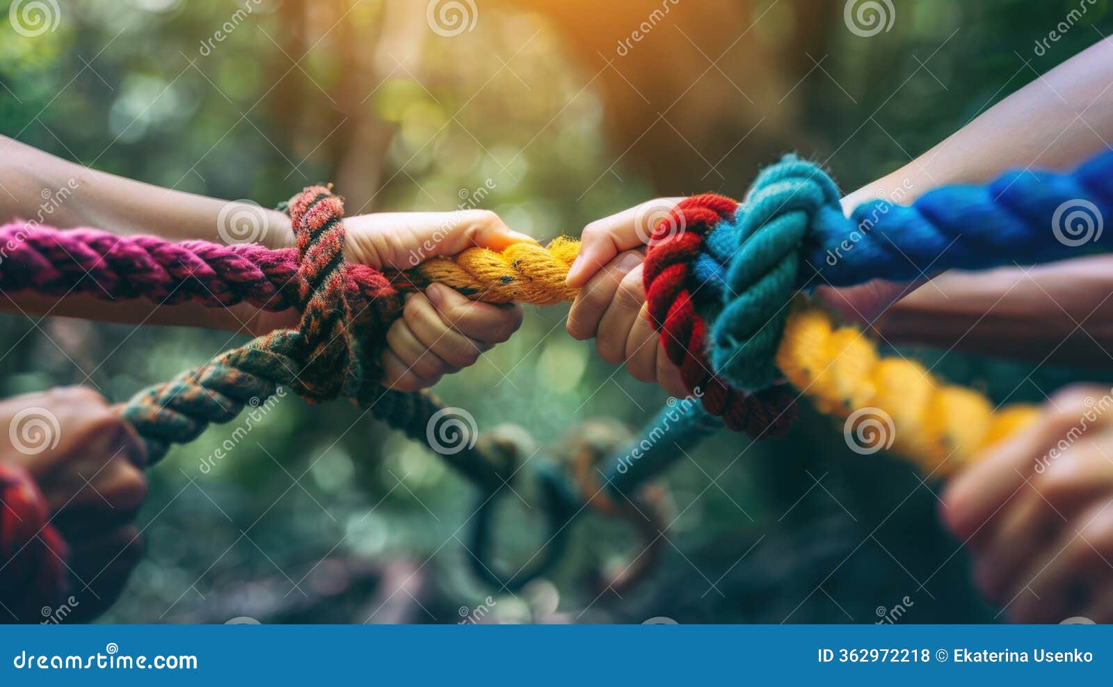 Hands Holding Multicolored Ropes in Unity Stock Photo - Image of ...