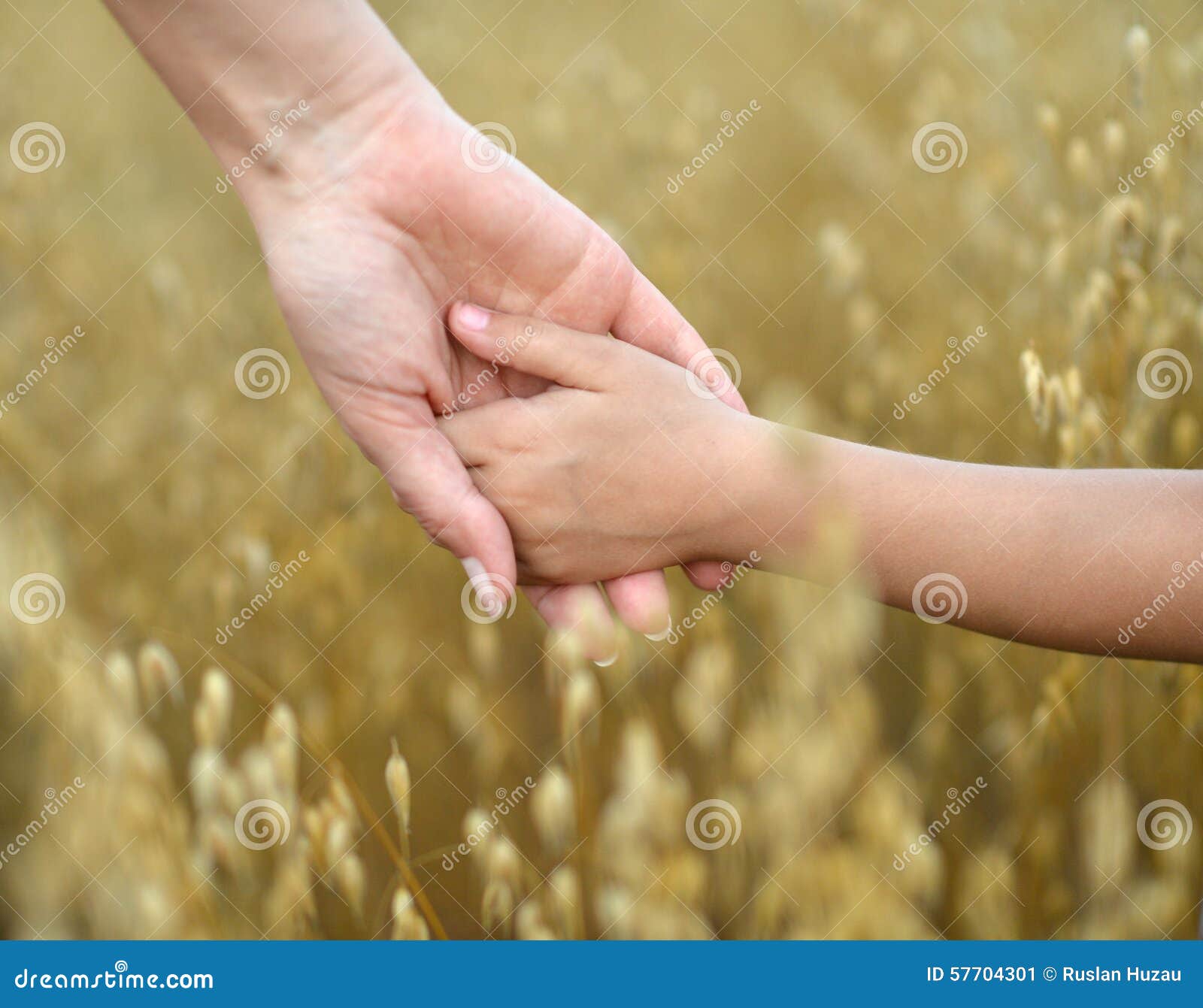 Hands are Holding at Nature Stock Image - Image of portrait, beautiful ...