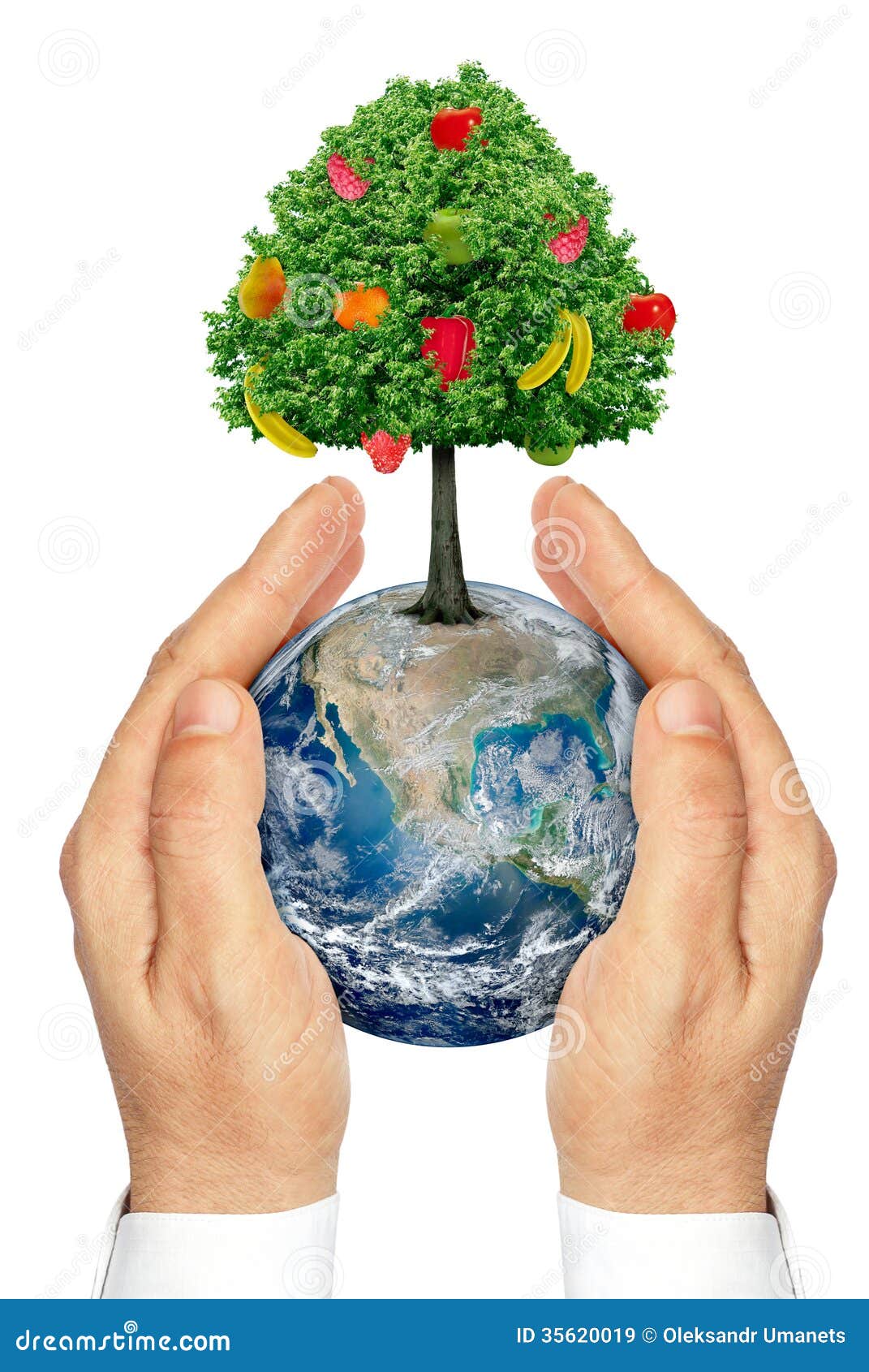 Hands Holding the Planet Earth with a Tree and Fruit . Stock Image ...