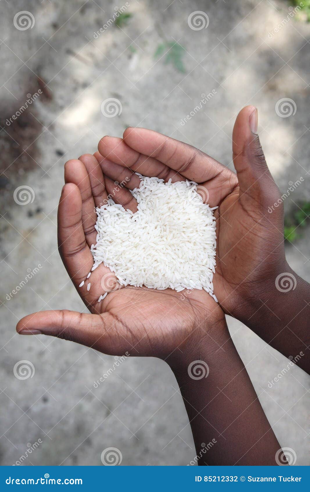Hands holding rice stock photo. Image of blue, help, charity - 85212332
