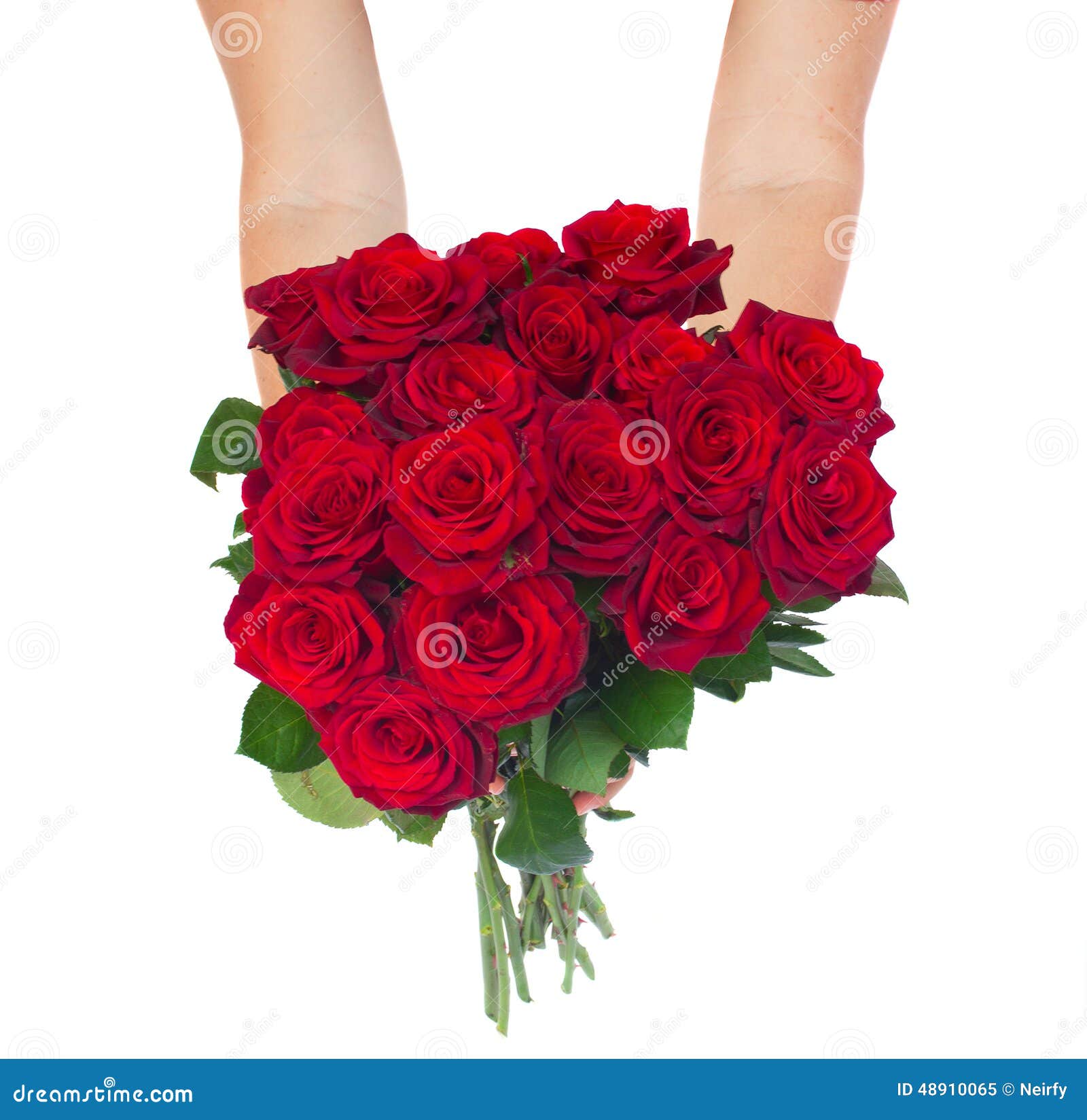 Hands holding roses stock image. Image of concept, delivering - 48910065