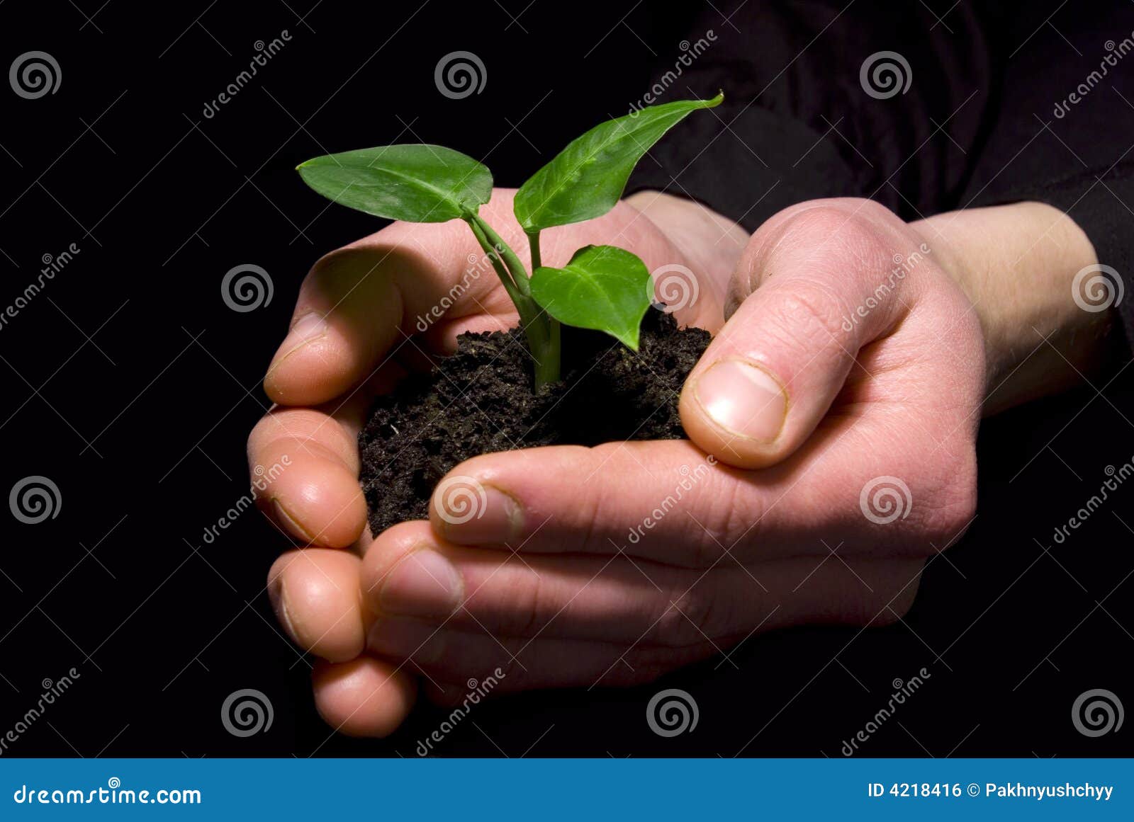 Hands holding sapling stock photo. Image of root, environment - 4218416