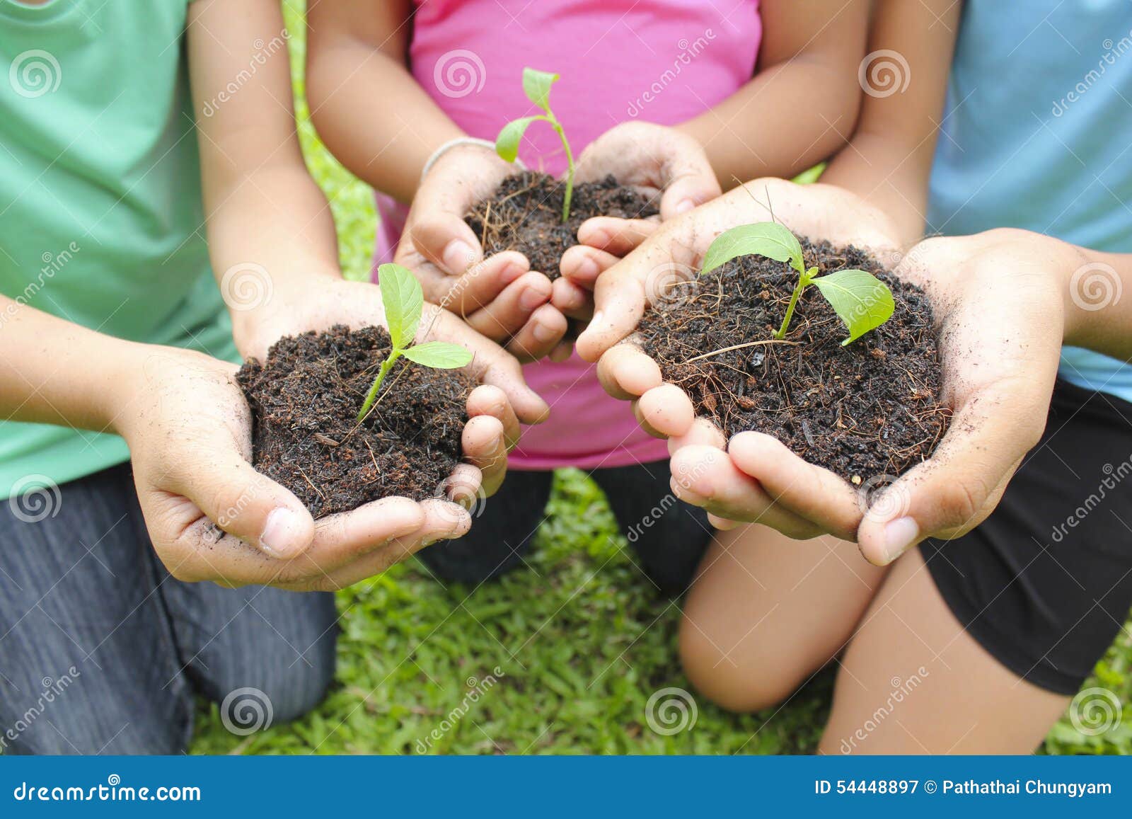 Hands Holding Sapling in Soil Surface Stock Image - Image of loam ...