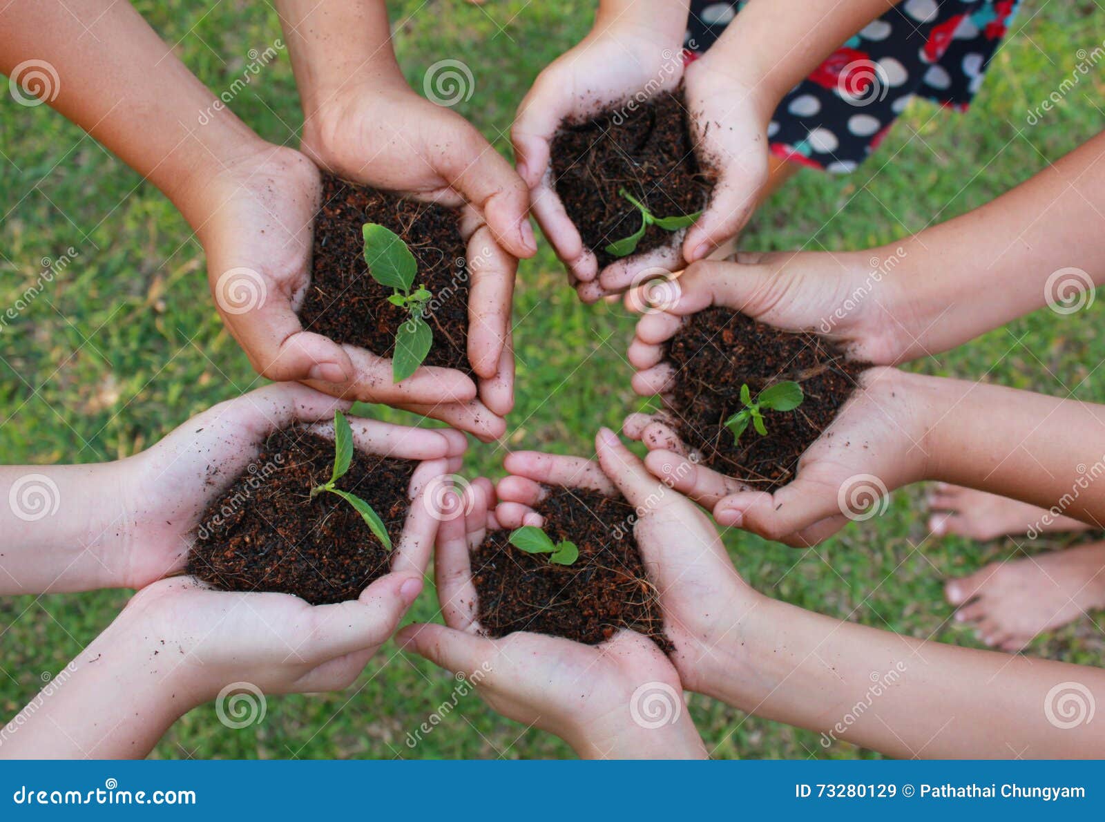 Hands Holding Sapling in Soil Surface Stock Image - Image of closeup ...