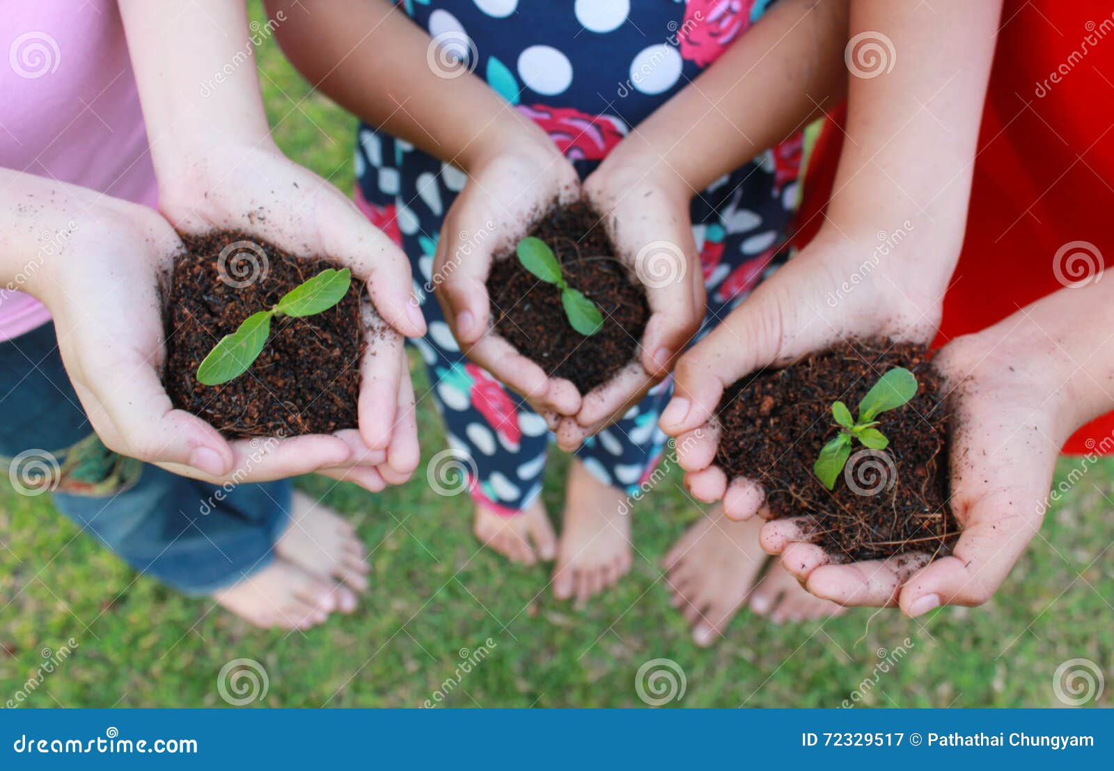 Hands Holding Sapling in Soil Surface Stock Image - Image of holding ...